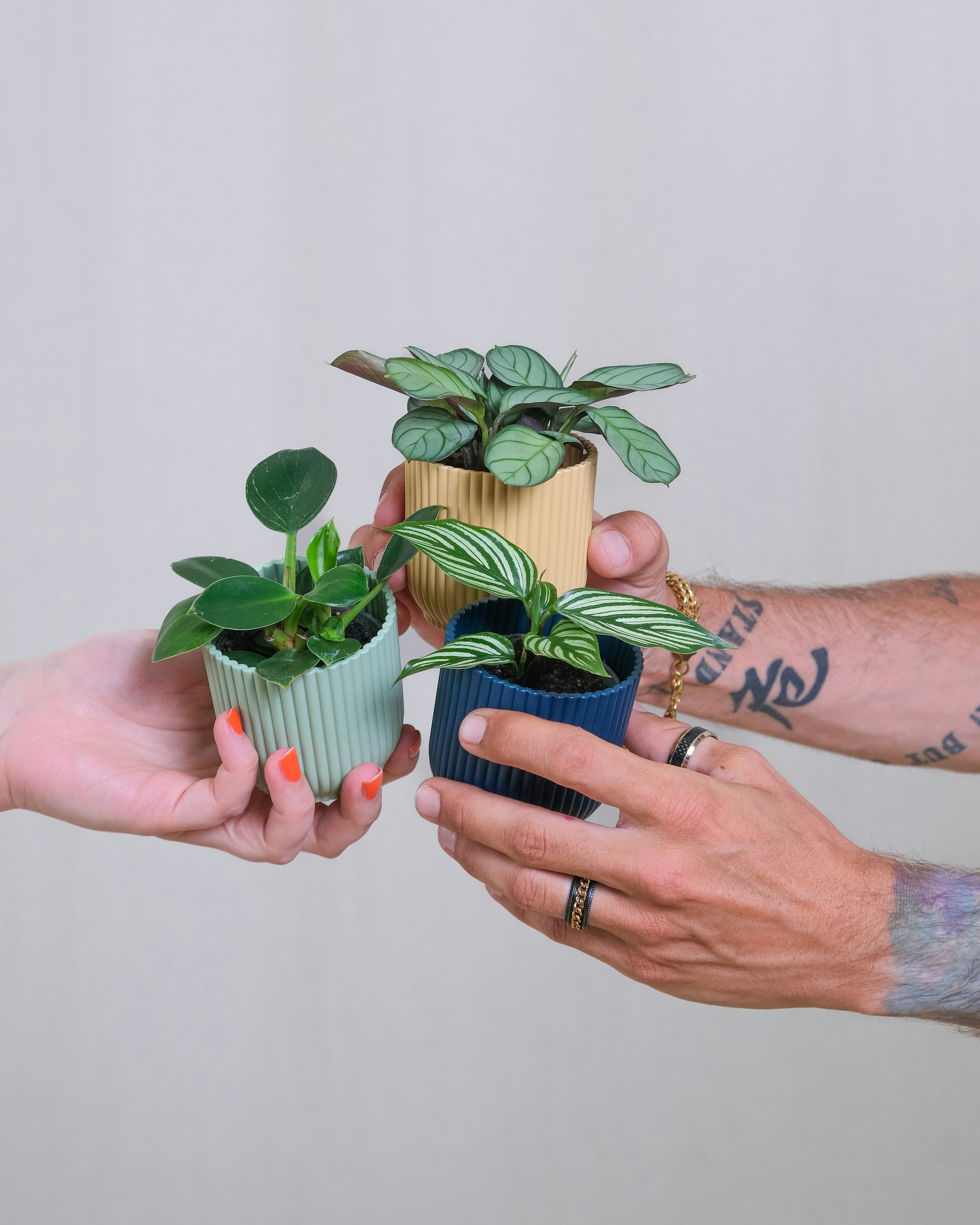 Three Tiny Gardens in Colorful Pots Carried by Hands