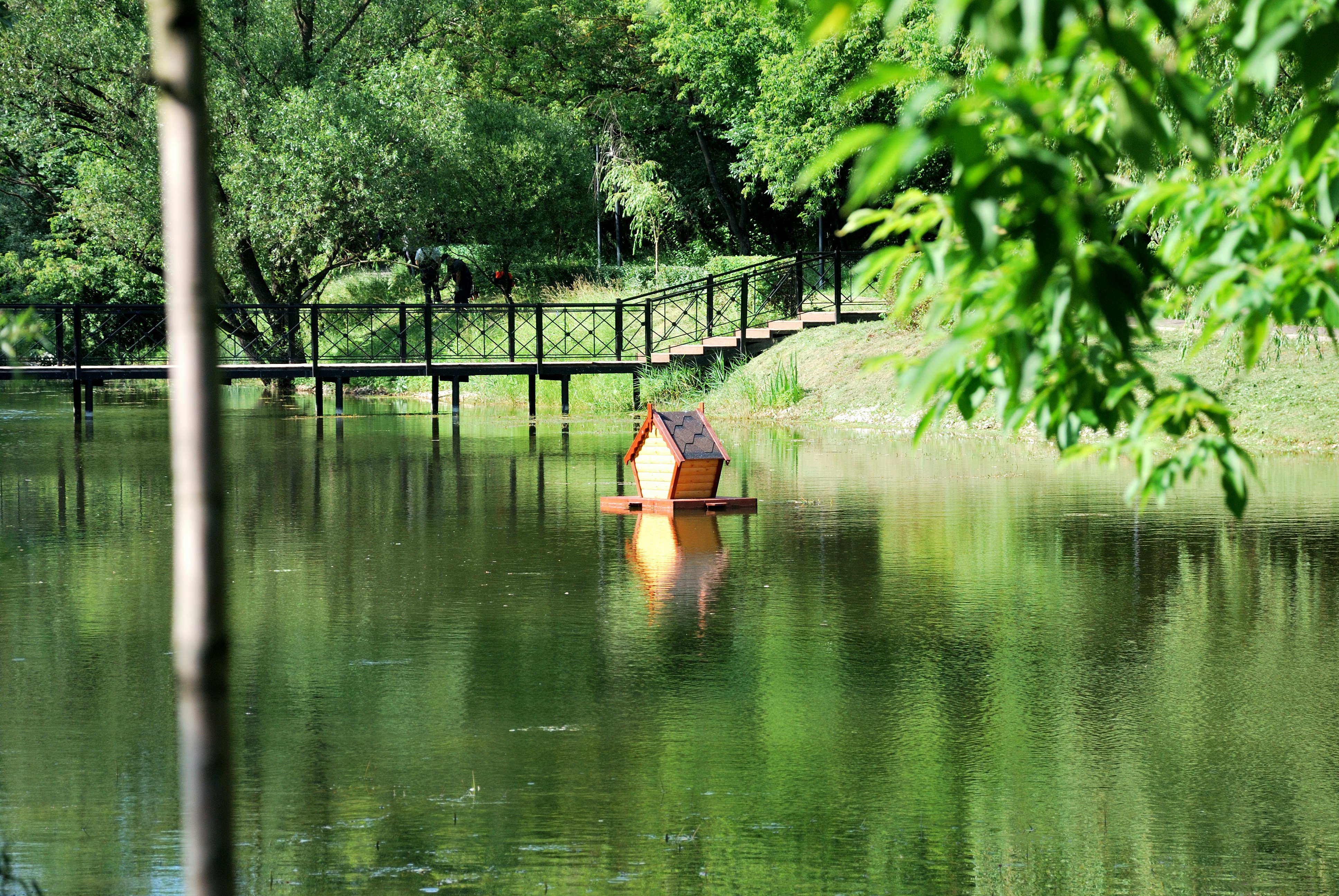 Floating Duck-House on a Quiet Pond