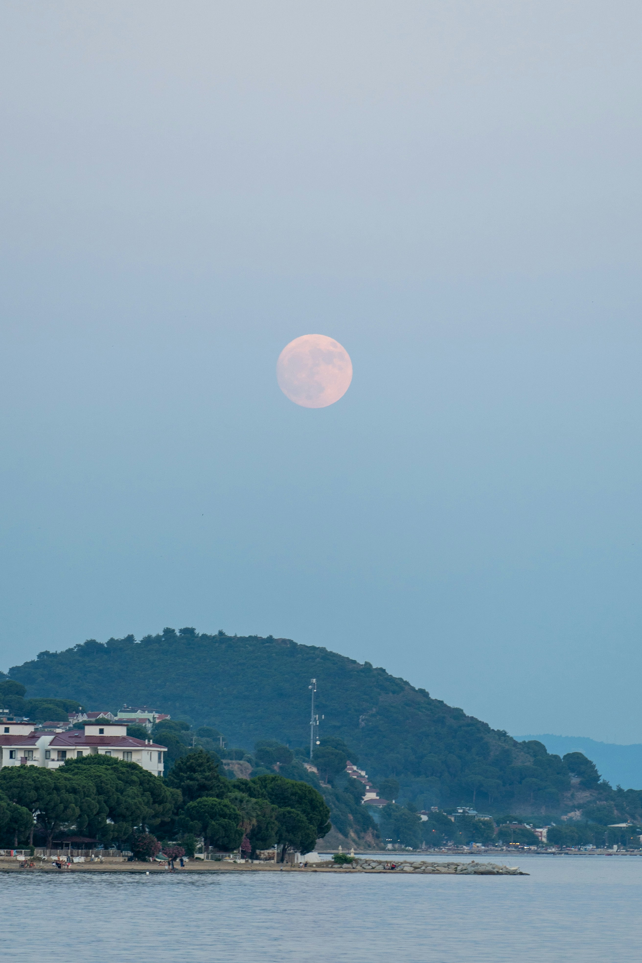 Photo by selcuk sarikoz with Sony Alpha 7 III