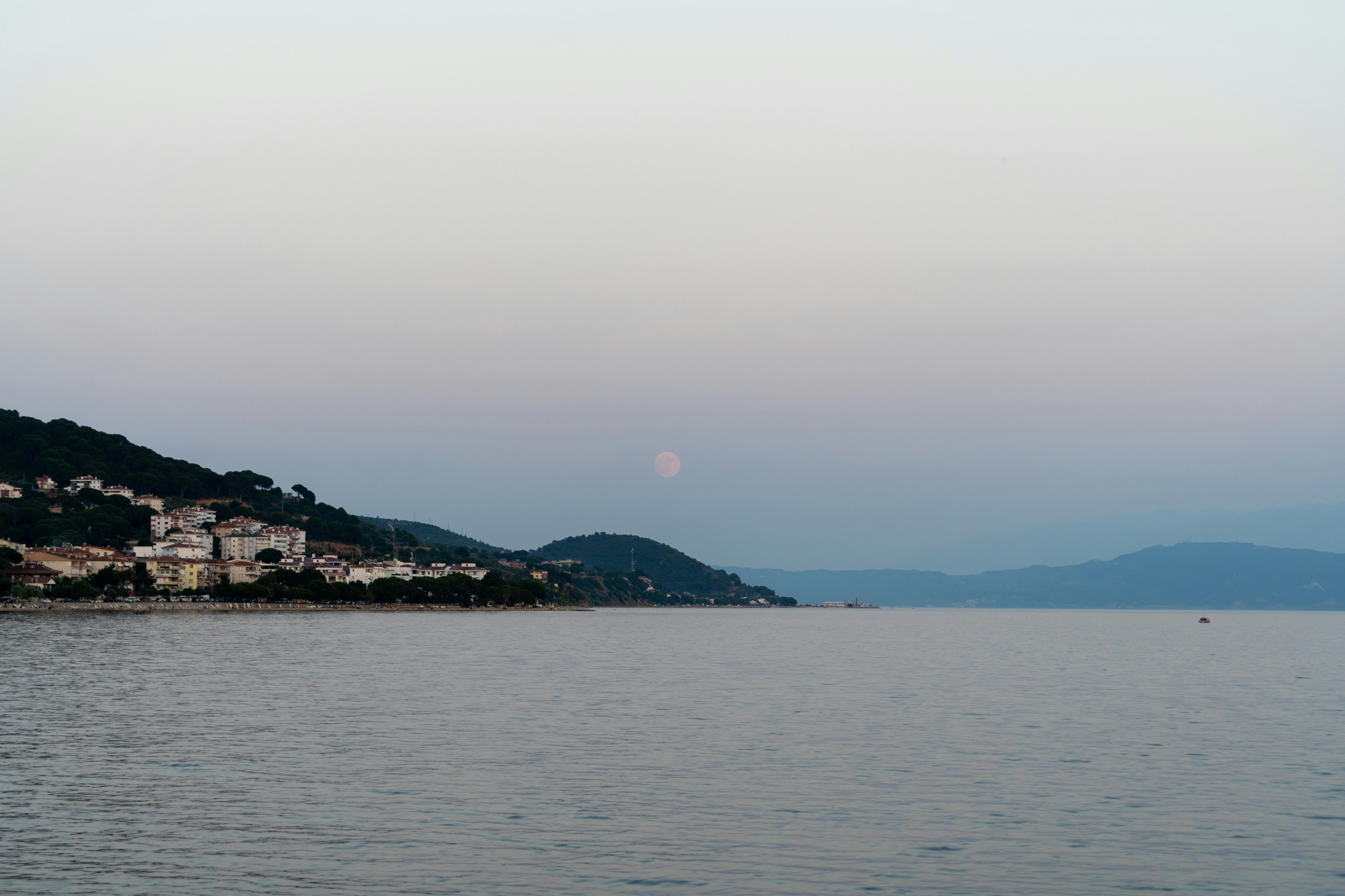 Photo by selcuk sarikoz with Sony Alpha 7 III