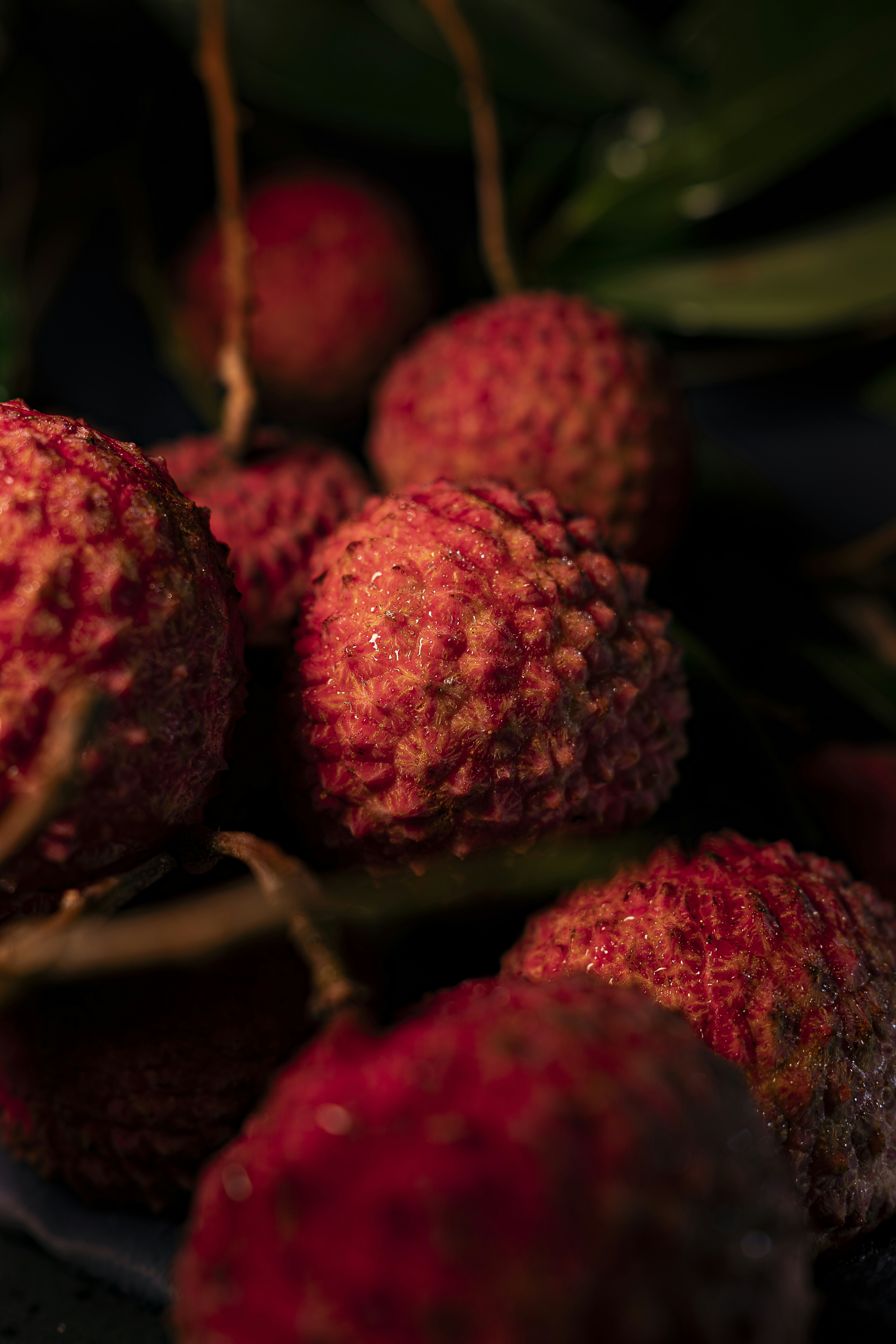 Lychee Fruit Pictures | Download Free Images on Unsplash