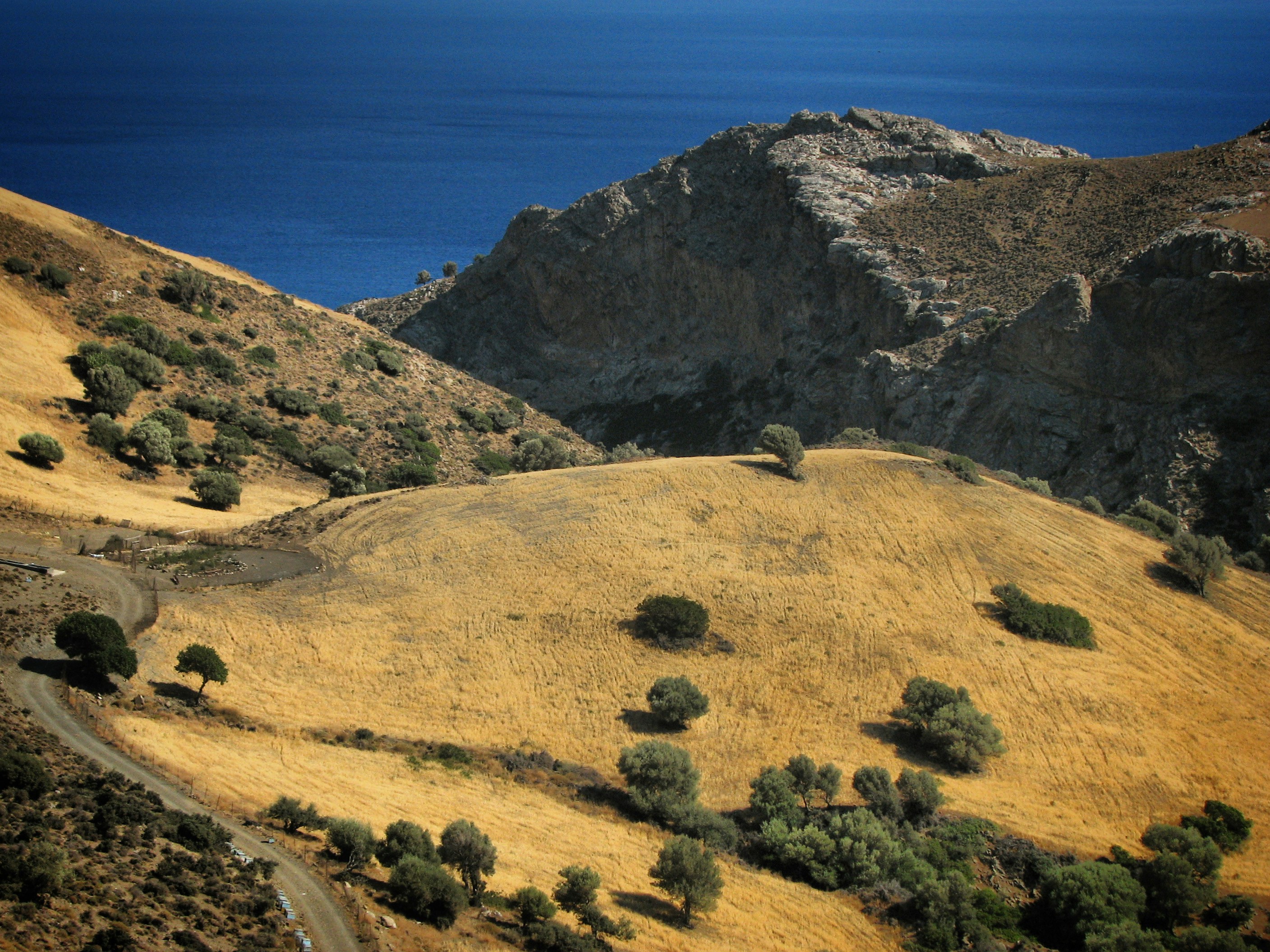 Golden Hills Meet the Blue Horizon
