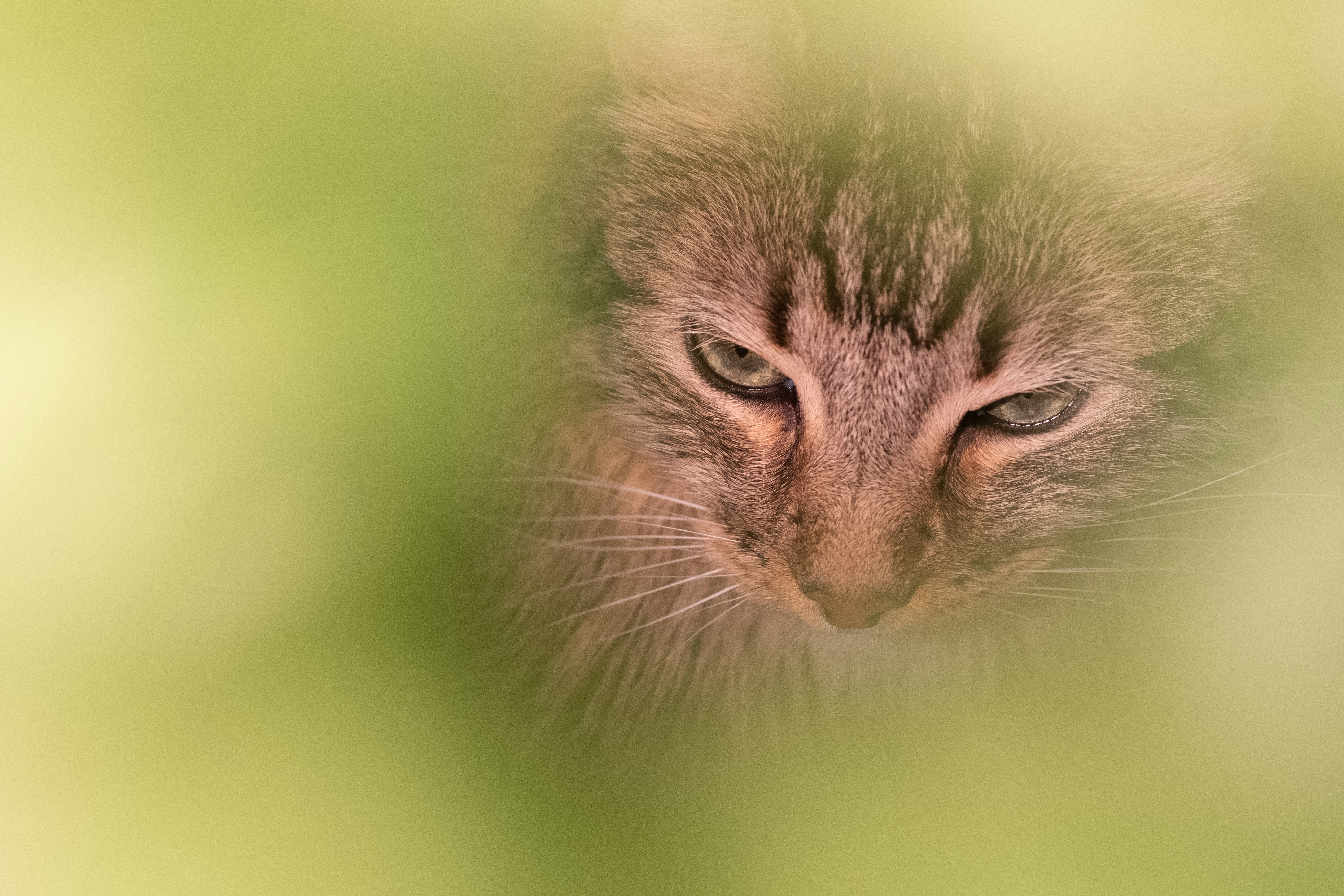 Photo by Samantha Hare with Fujifilm X-T20