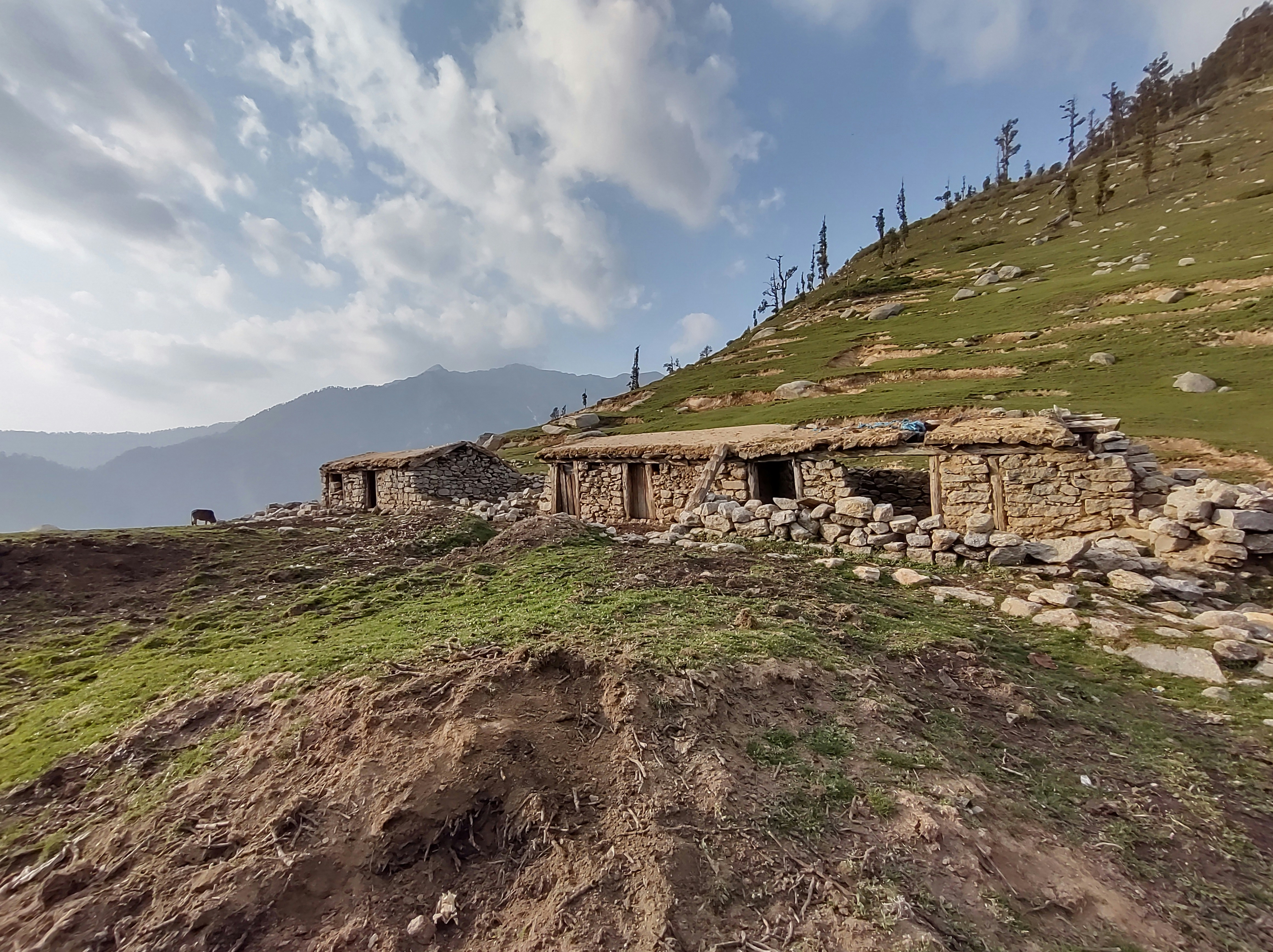 Stone huts on a windswept alpine slope