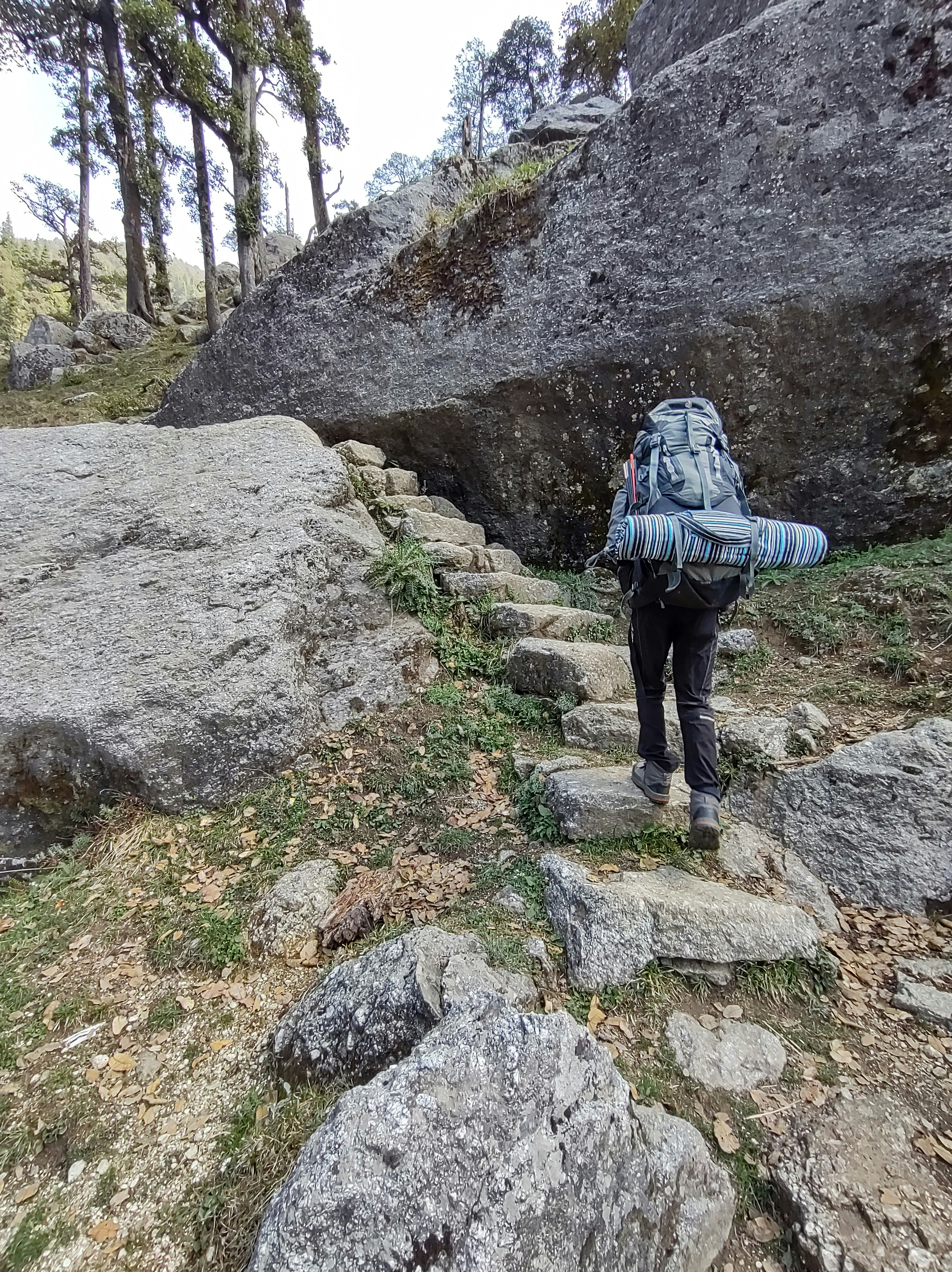 Ridgebound Ascent: A Backpacker Climbing the Rocky Stairway Under Pines
