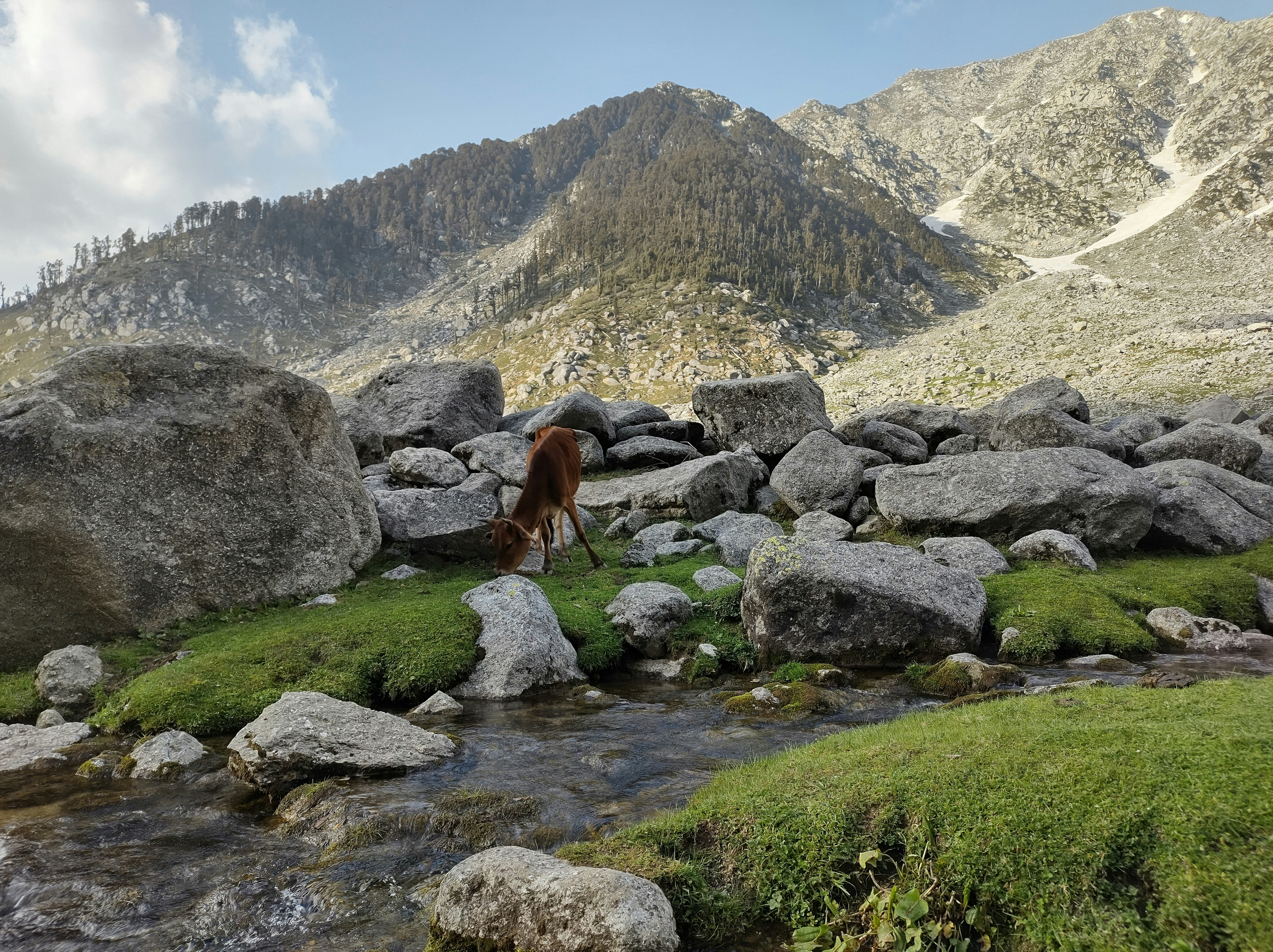 Photo by Aakash Bisht with Motorola One Fusion