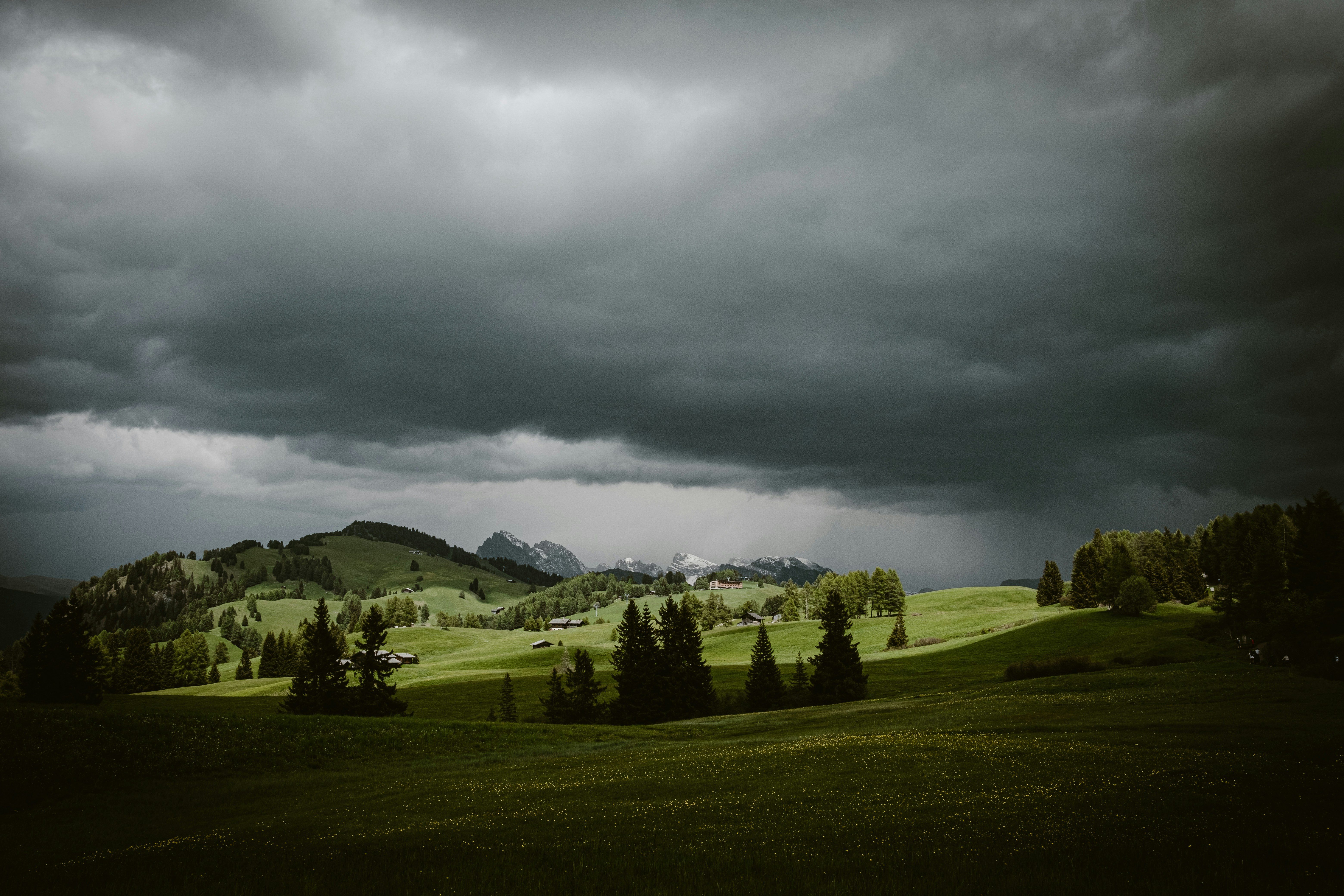 Storm Quiet on the Verdant Ridge