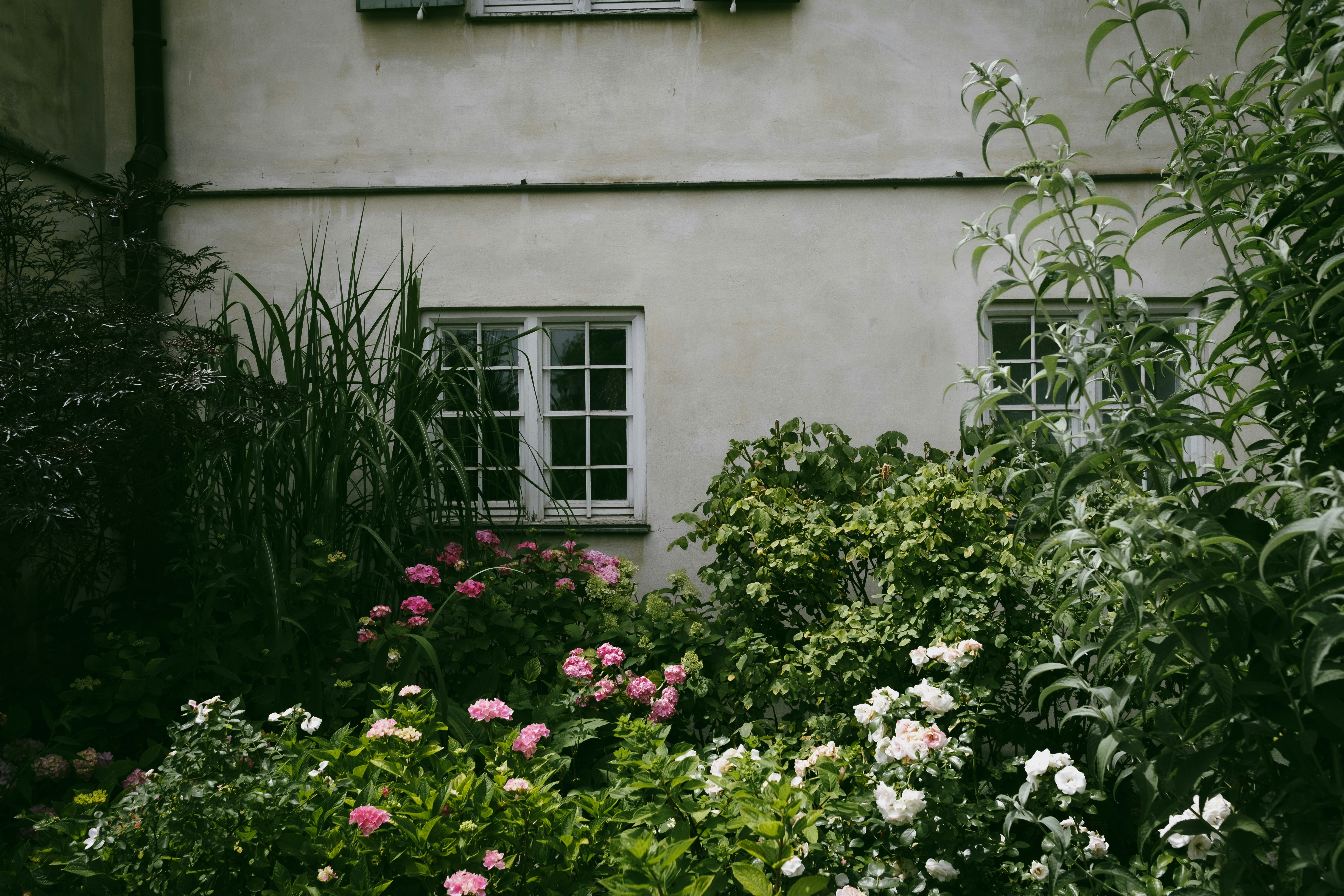 Photo by Thomas Chizzali with Fujifilm X-Pro3