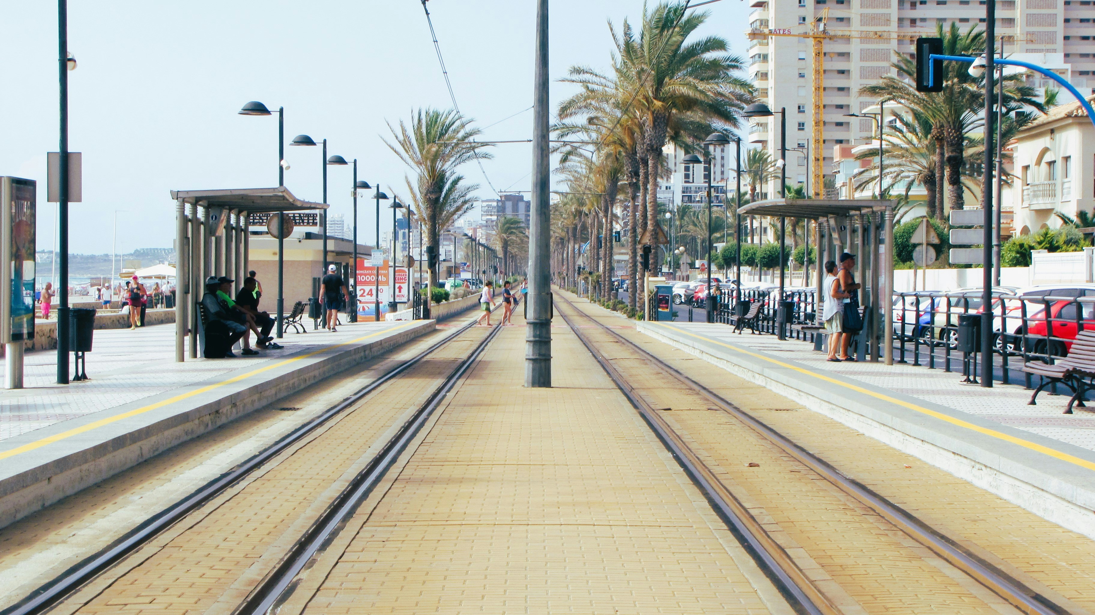 Sample photo from Canon PowerShot SX10 IS