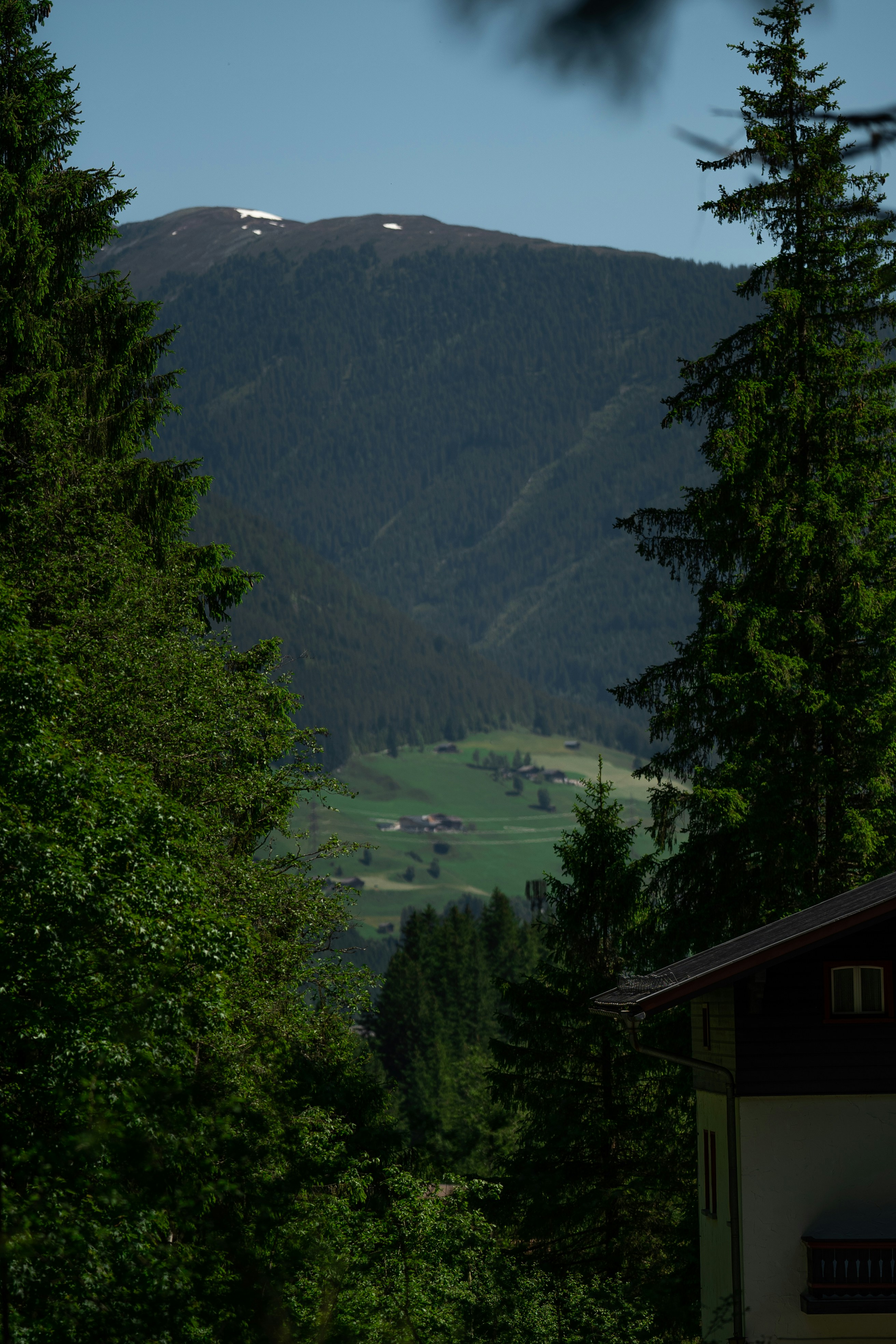 Photo by Omar Ramadan with Sony Alpha 7 III