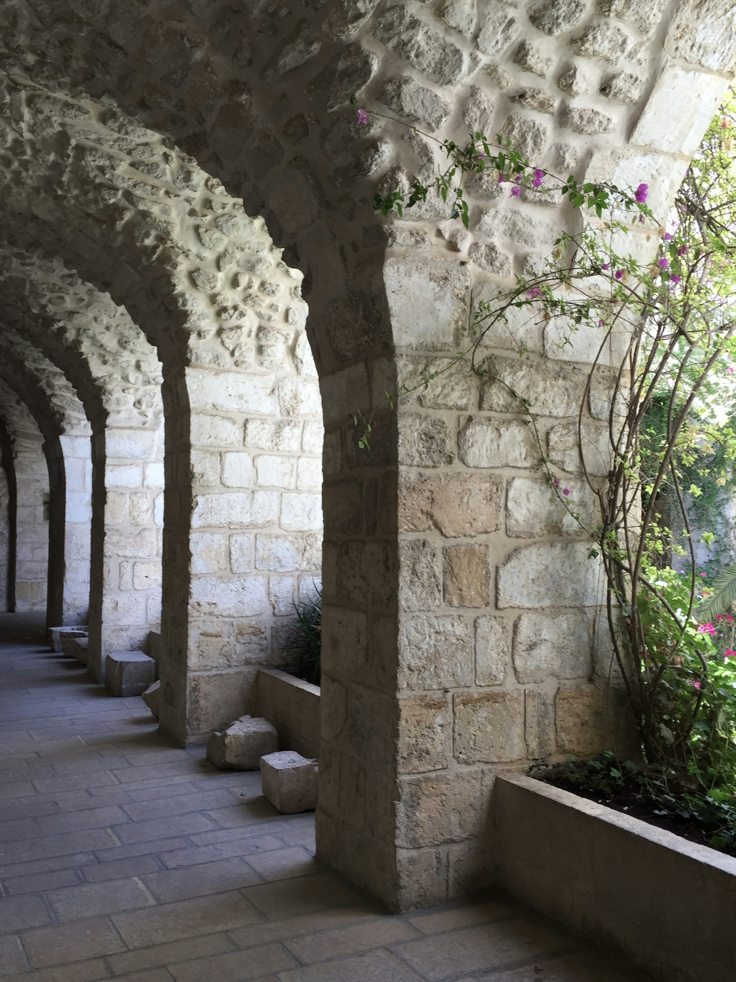 Stone Archway Corridor: Light, Shadow, and Blooms