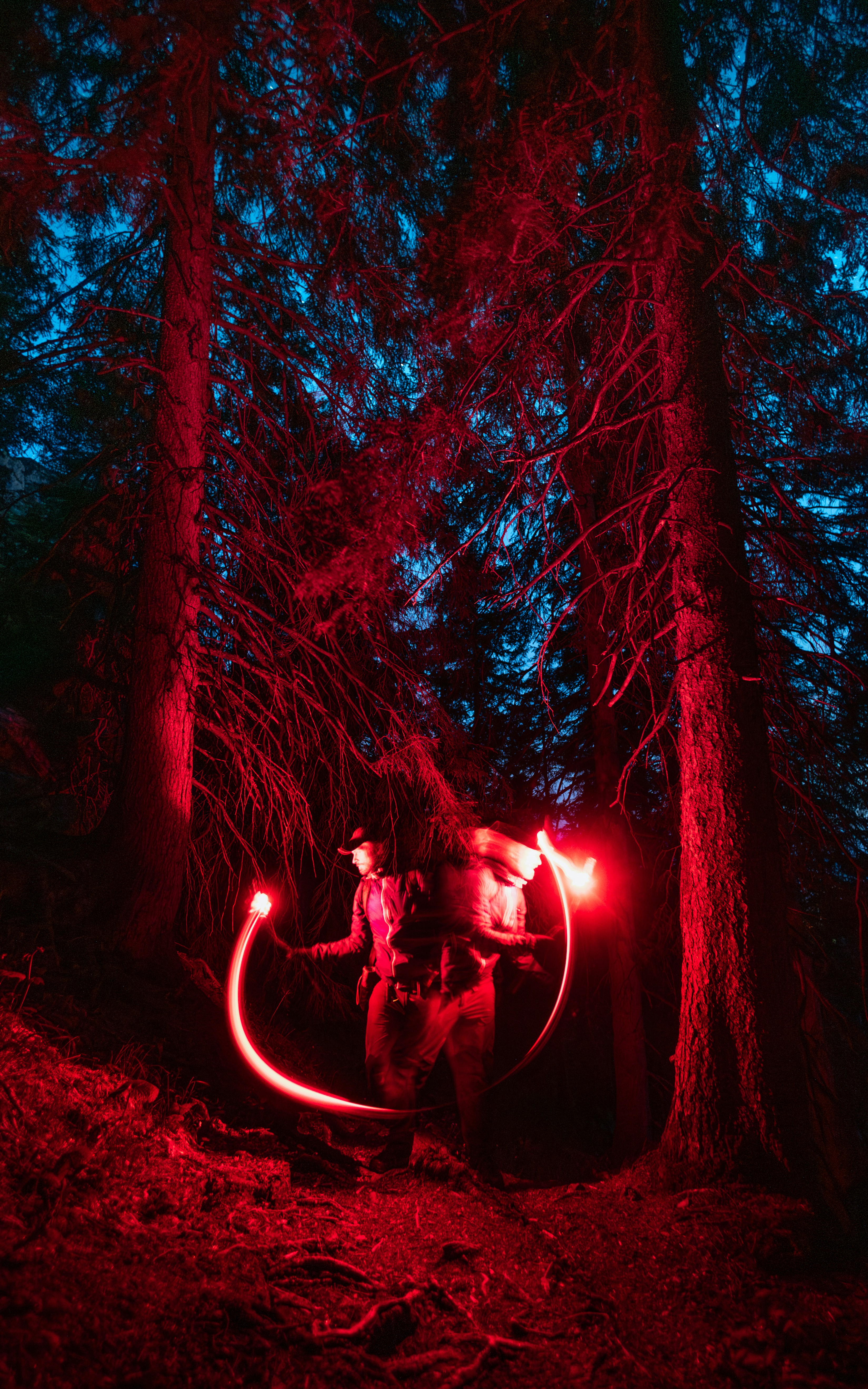 Red Lit Forest