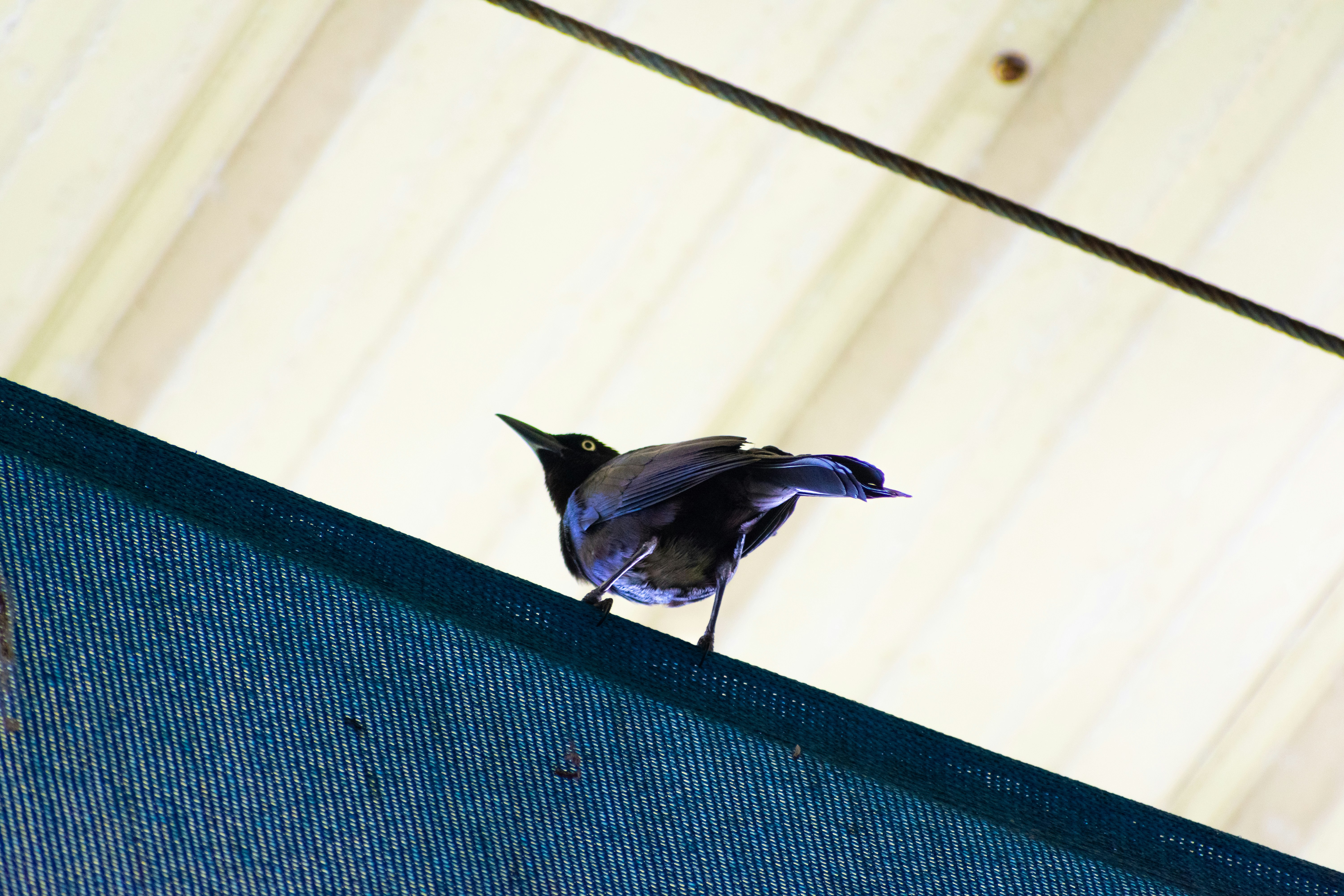 Photo by Robin Teng with Nikon D3400