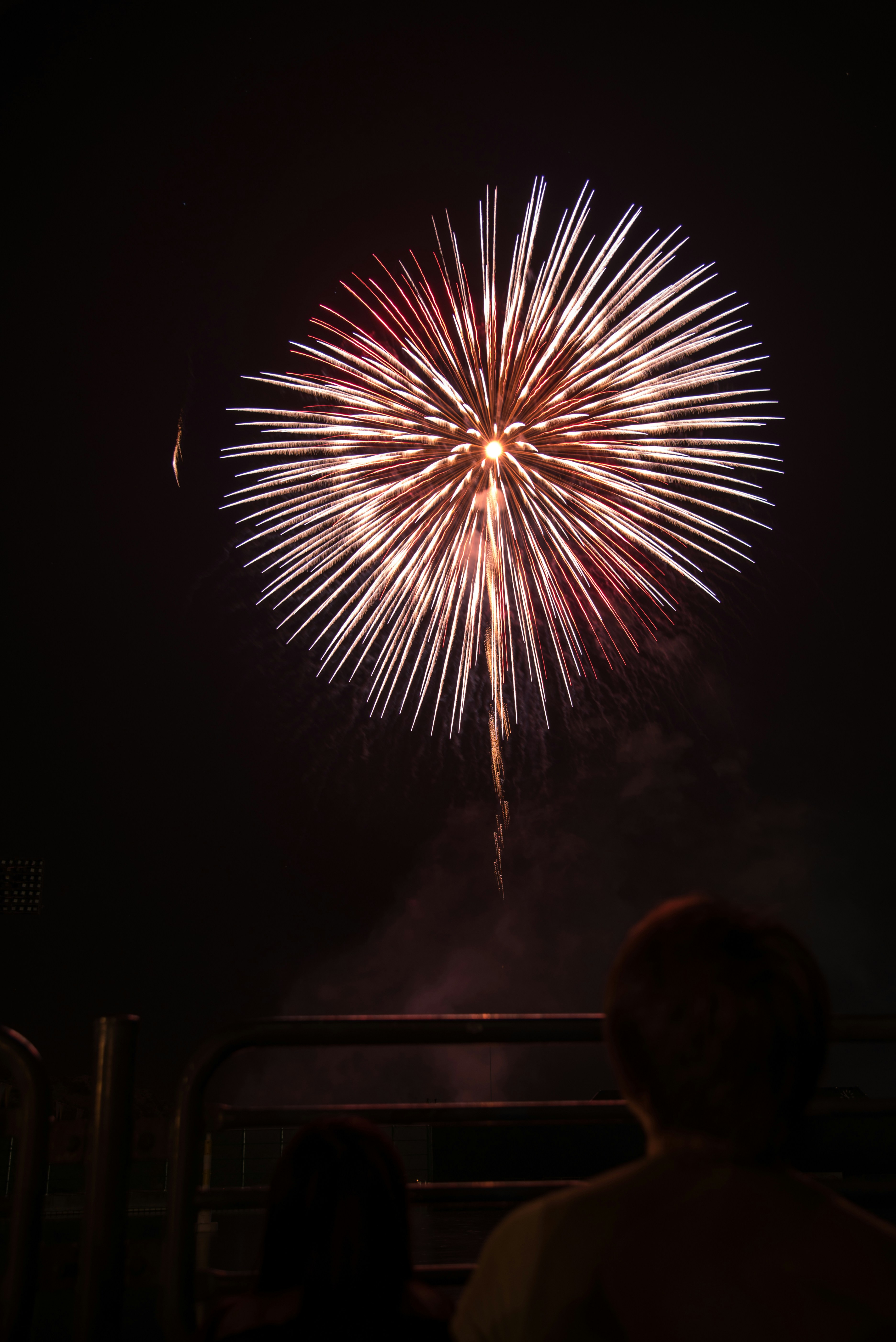 A firework display in the night sky photo – Free San francisco Image on ...