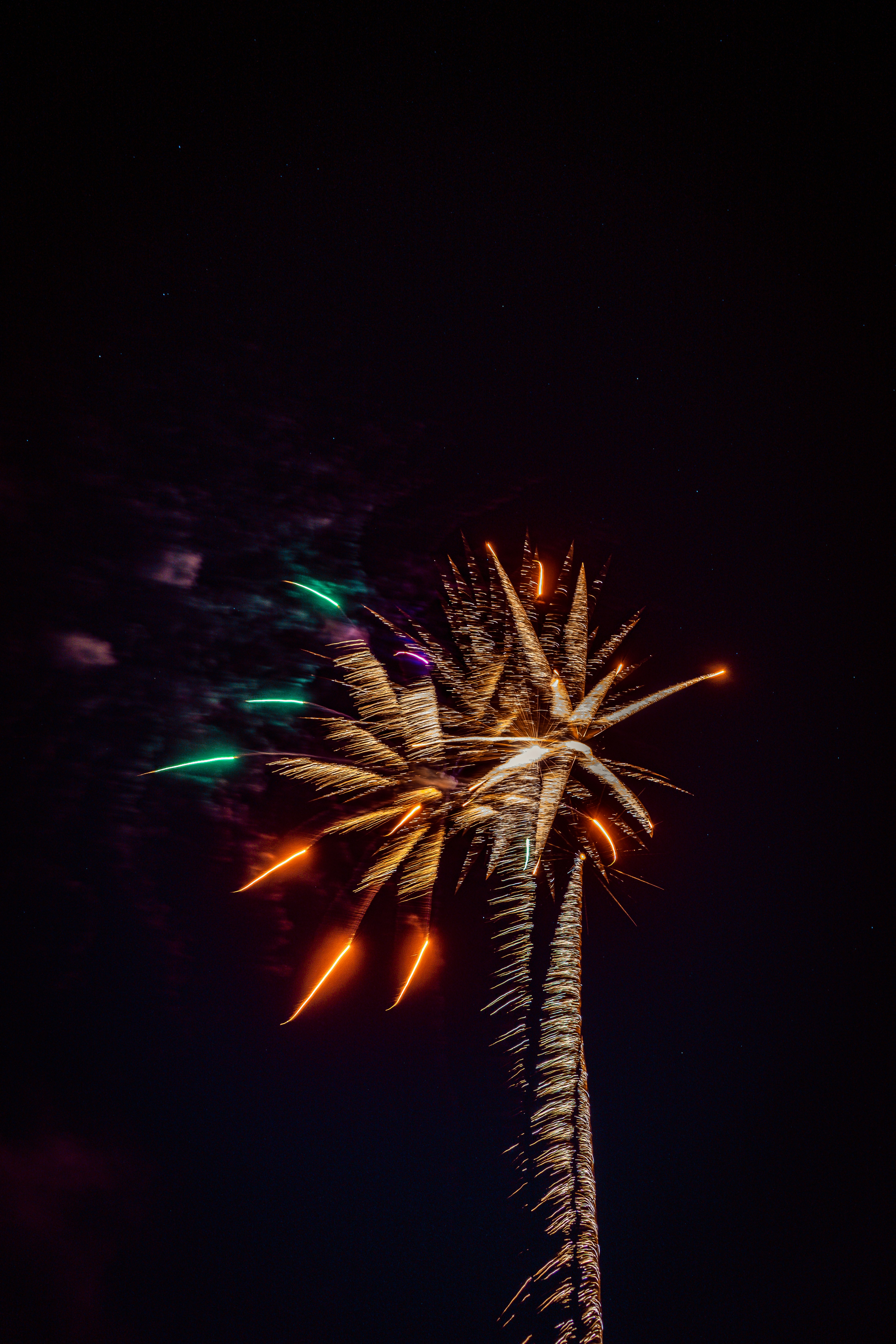 A palm tree is lit up with colorful fireworks photo – Free Roeland park ...