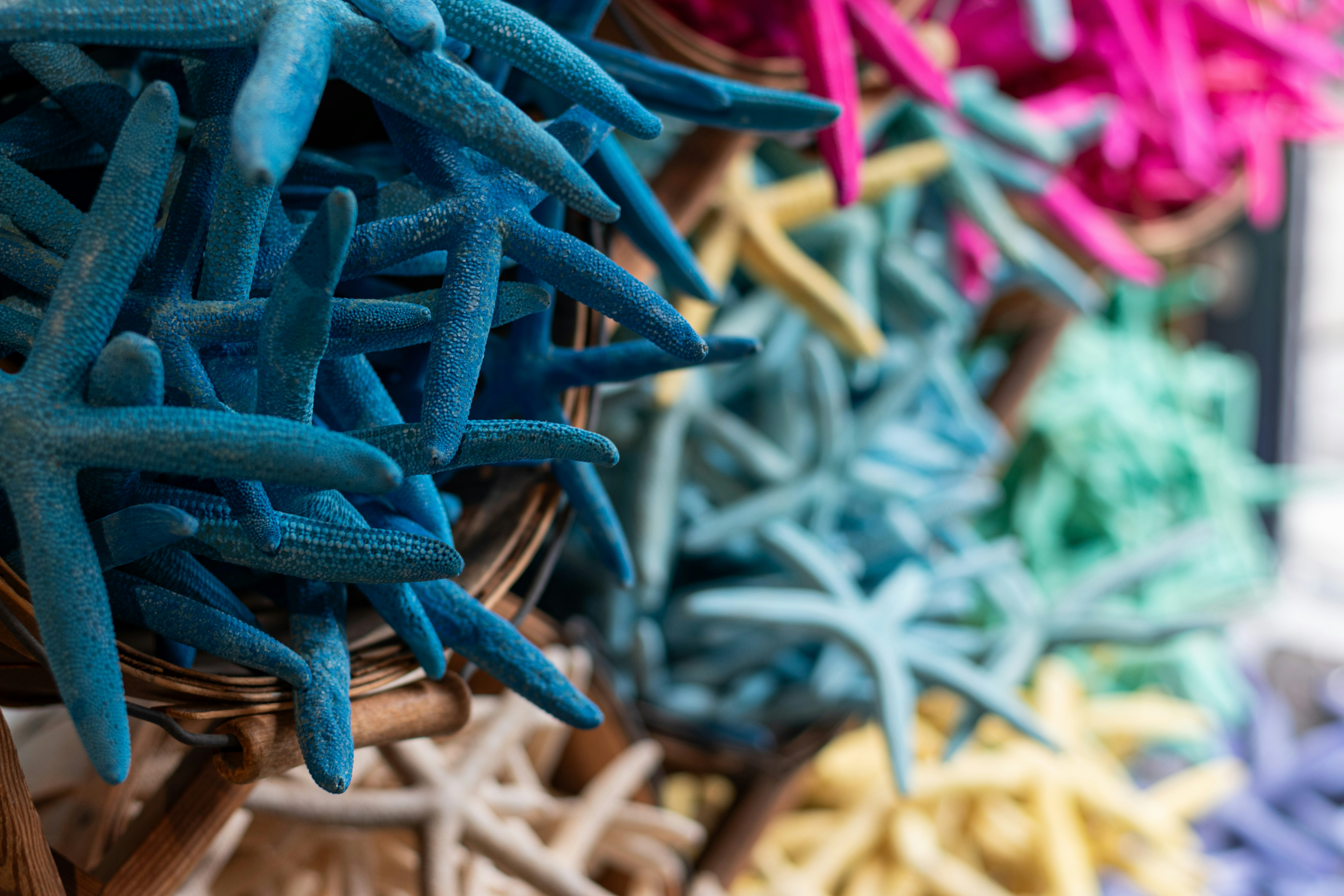 Colorful Textile Starfish: A Macro Portrait in a Woven Basket