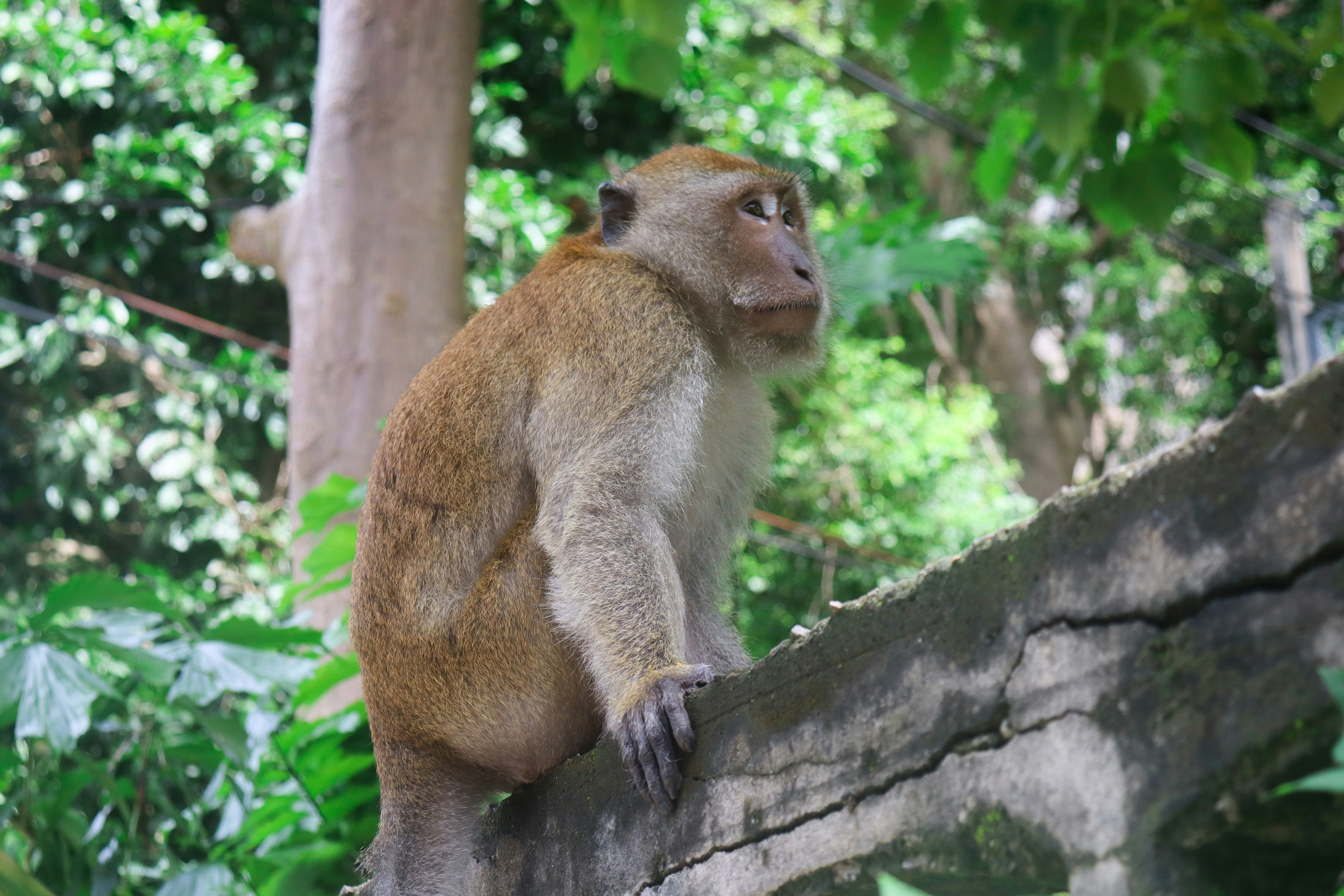 Photo by Maggie Lentz with Canon EOS 200D Mark II