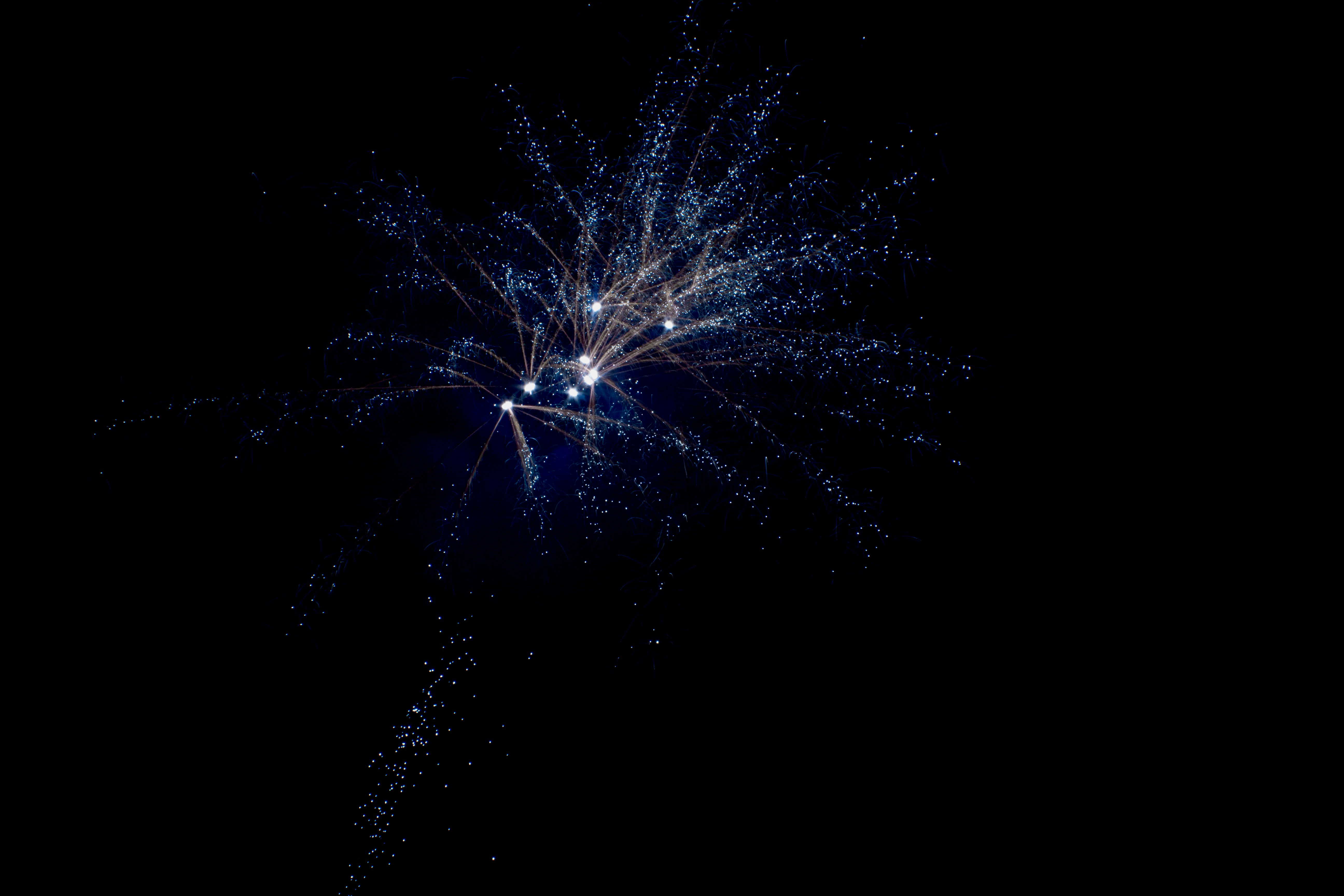 A blue and white firework in the night sky photo – Free Fireworks Image ...