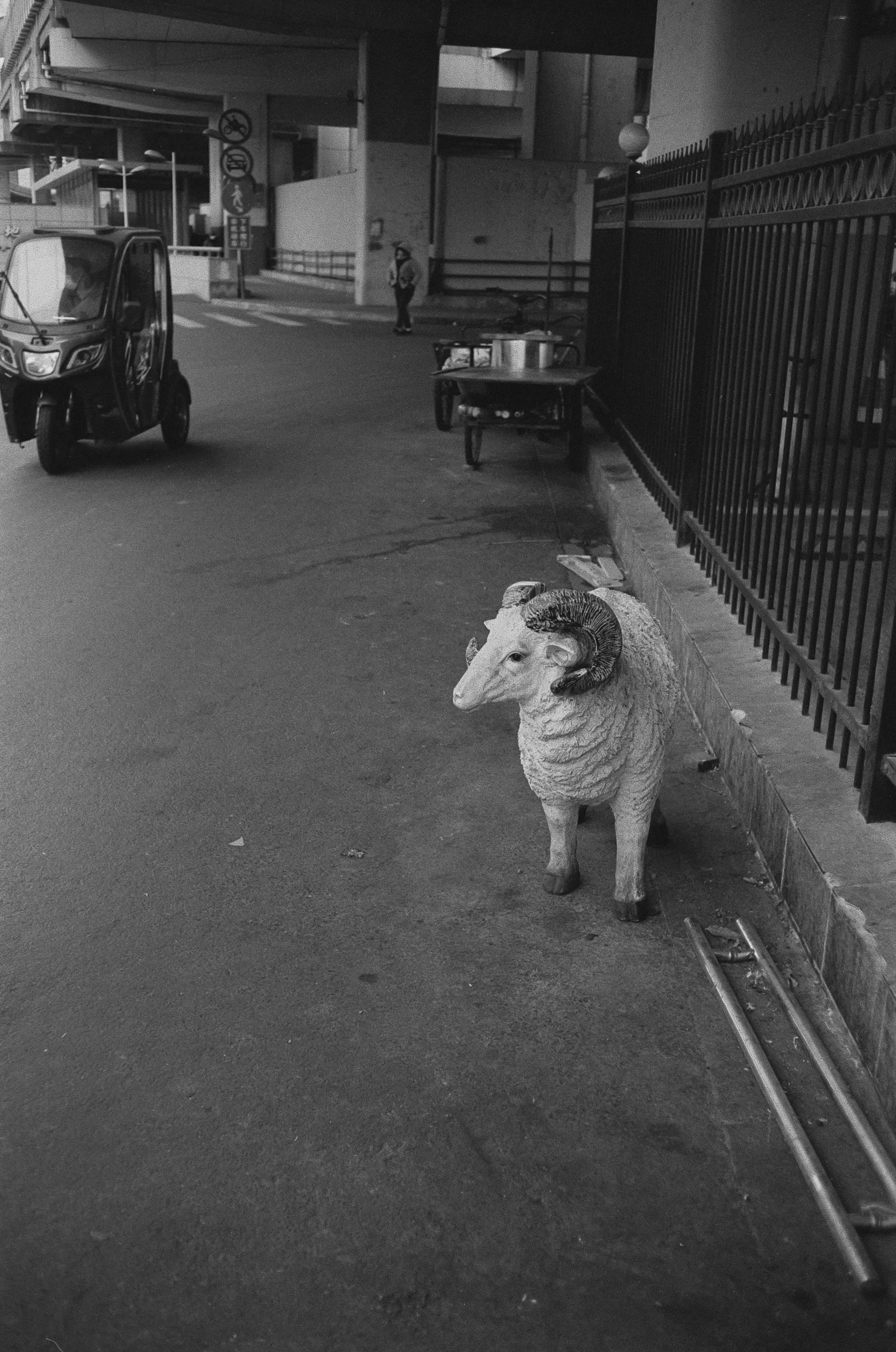 Ram by the Railing: A Quiet Monochrome Moment in the City