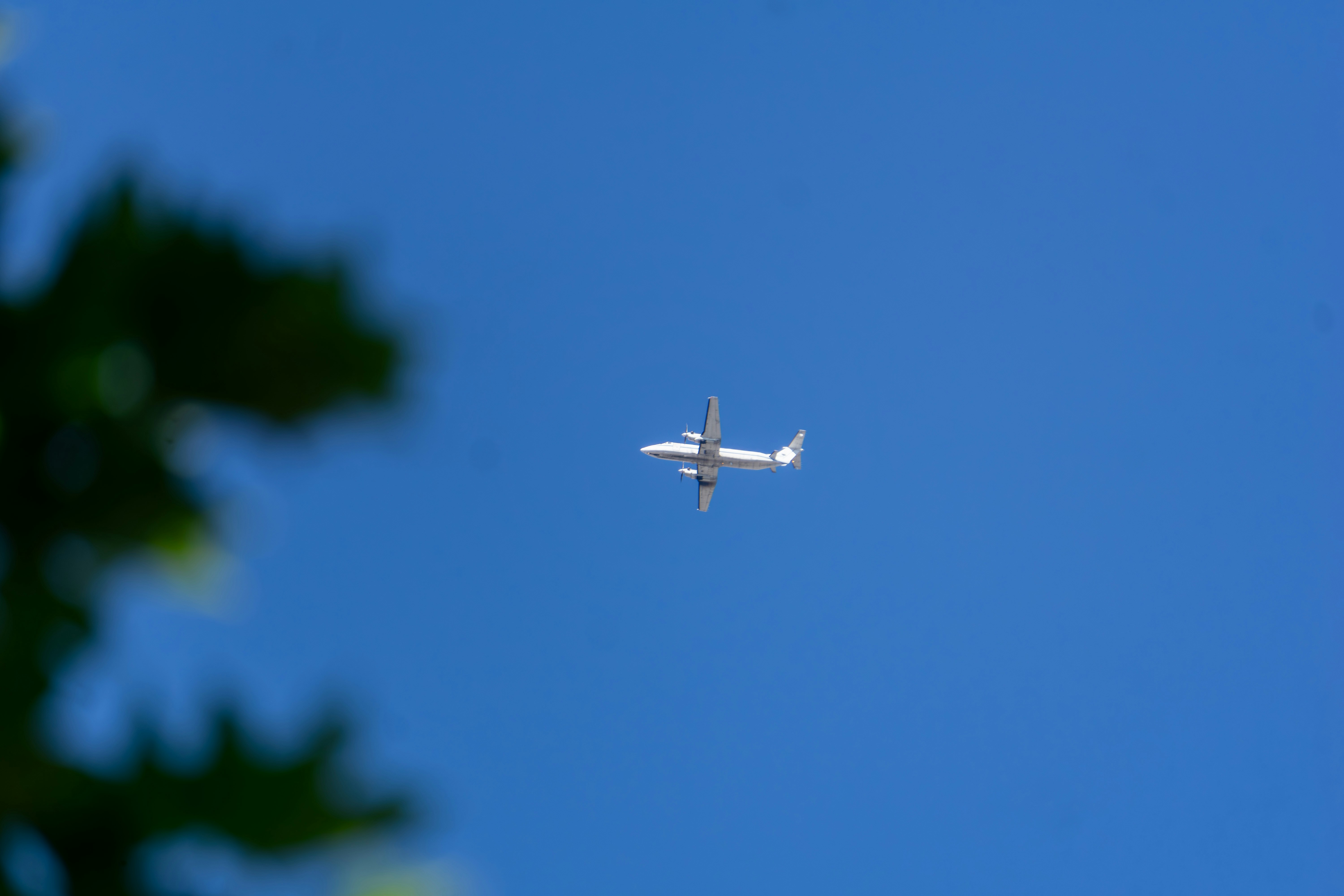 Jet in a Clear Blue: A Distant Airliner Framed by Soft Foliage