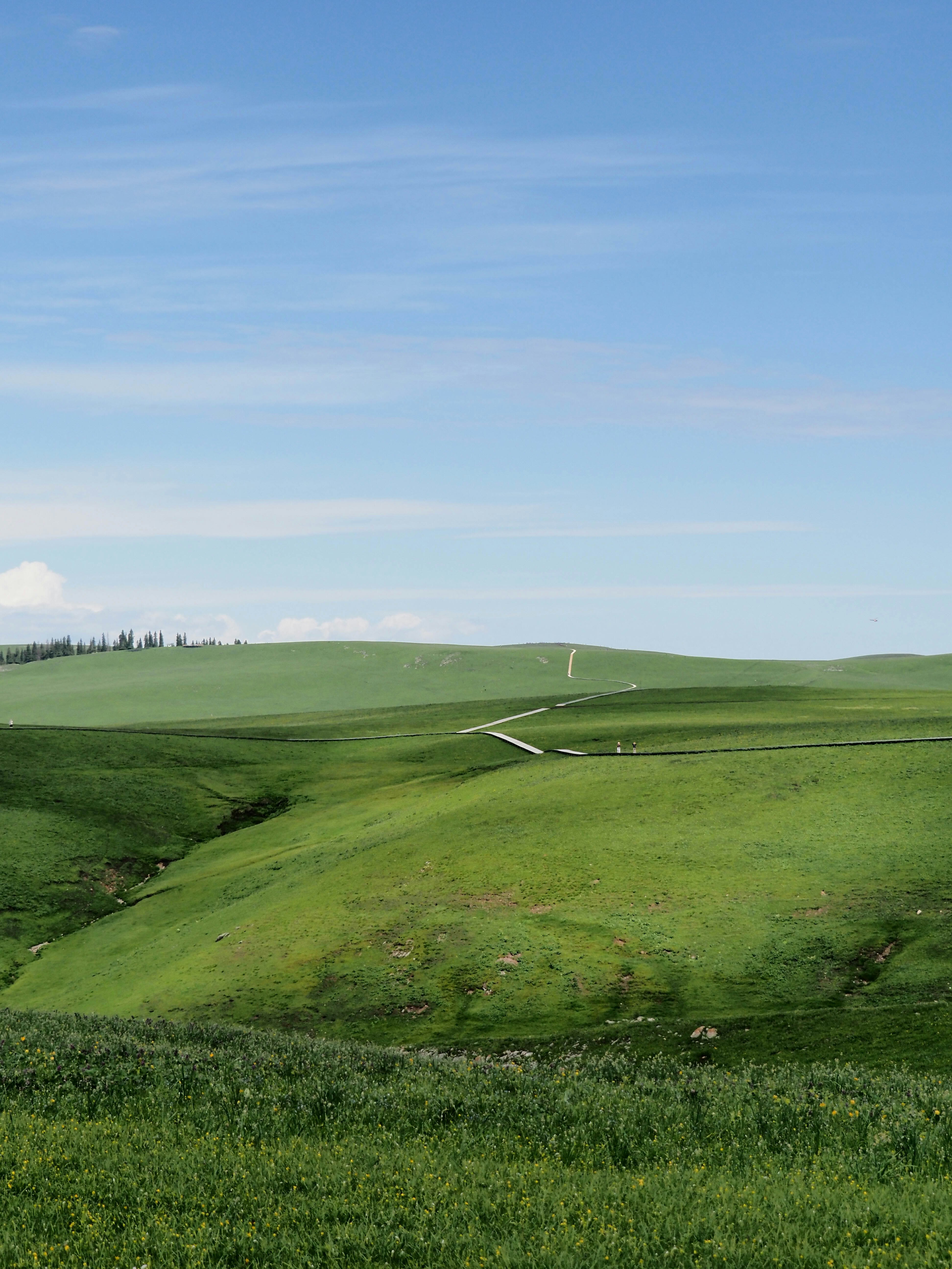 Iris Yan (@iriiiis) | Communauté photos Unsplash