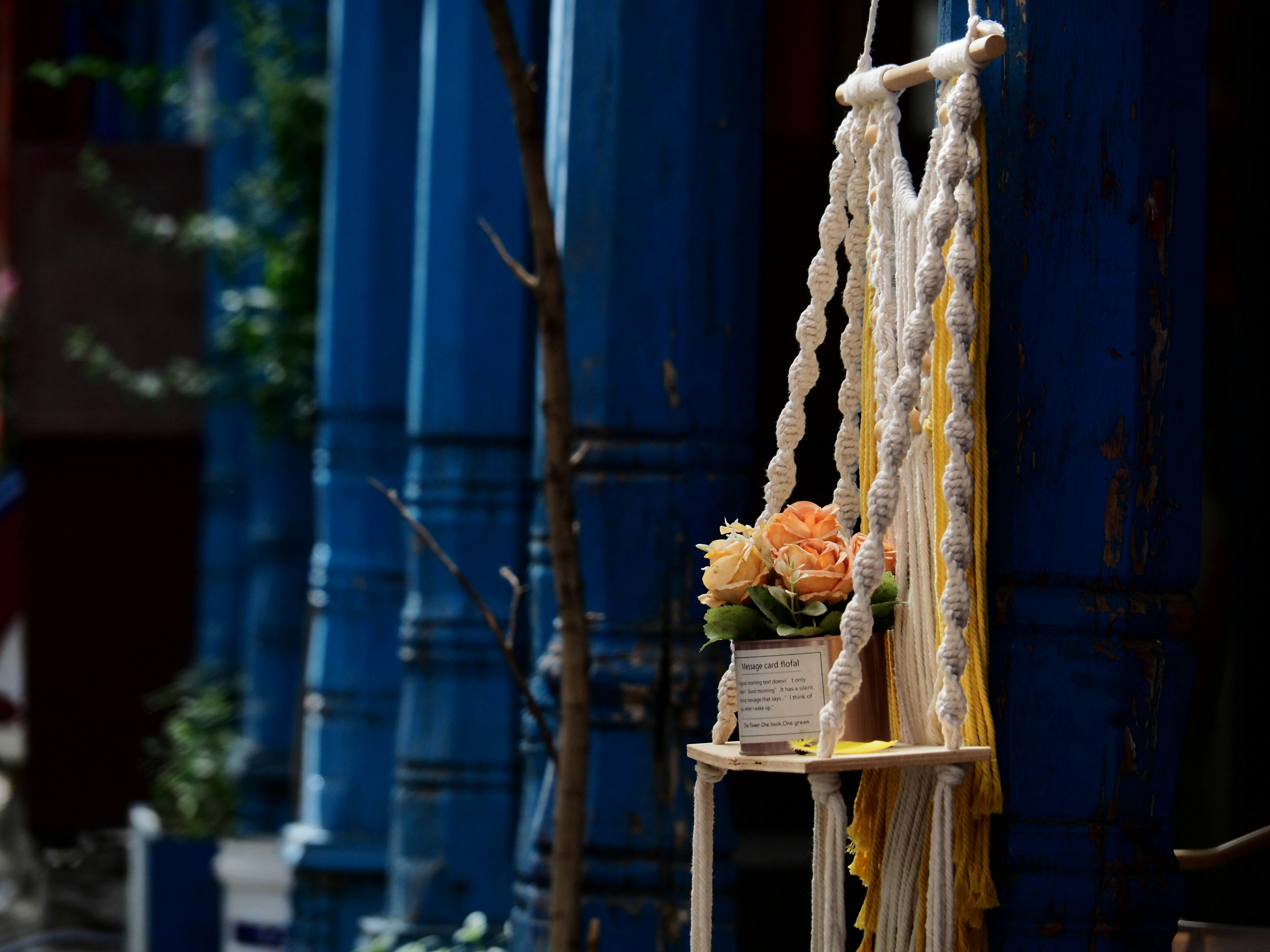 Peach Roses on a Rope Swing Against Deep Blue Columns