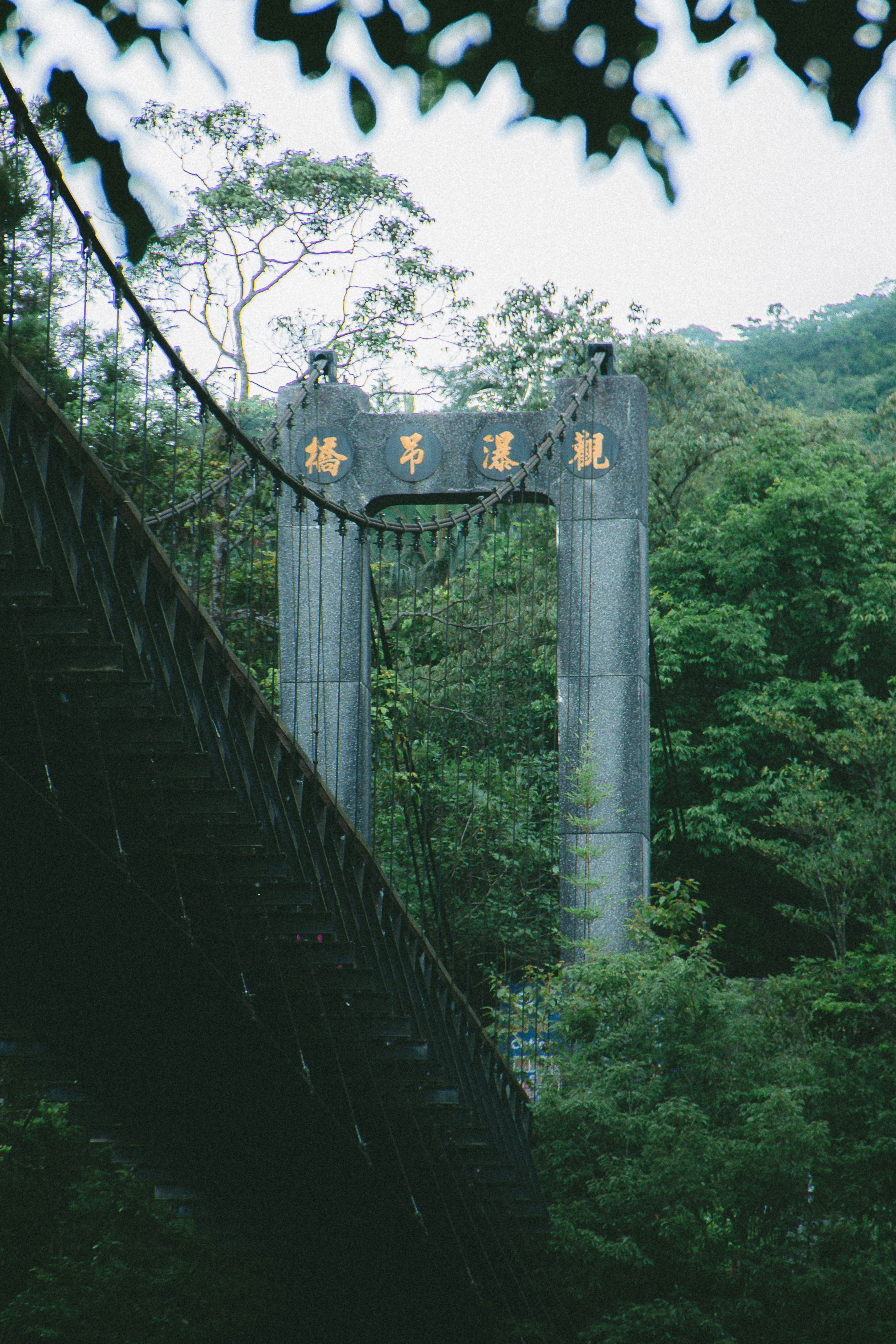 Suspended bridge framed by lush greenery, showcasing a stone archway adorned with golden characters. A serene landscape invites exploration.