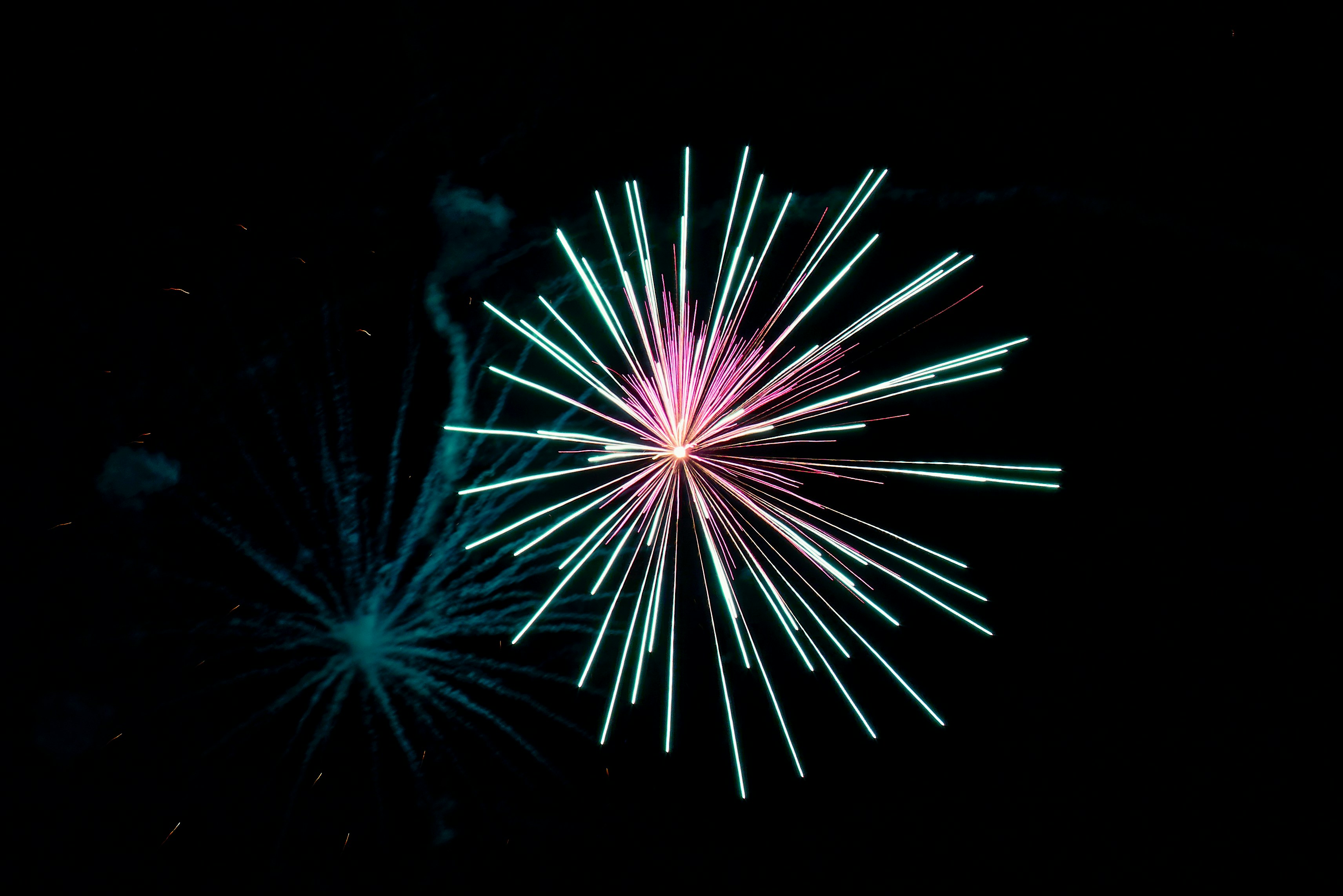 Pink Crown Firework Bloom Against the Night Sky