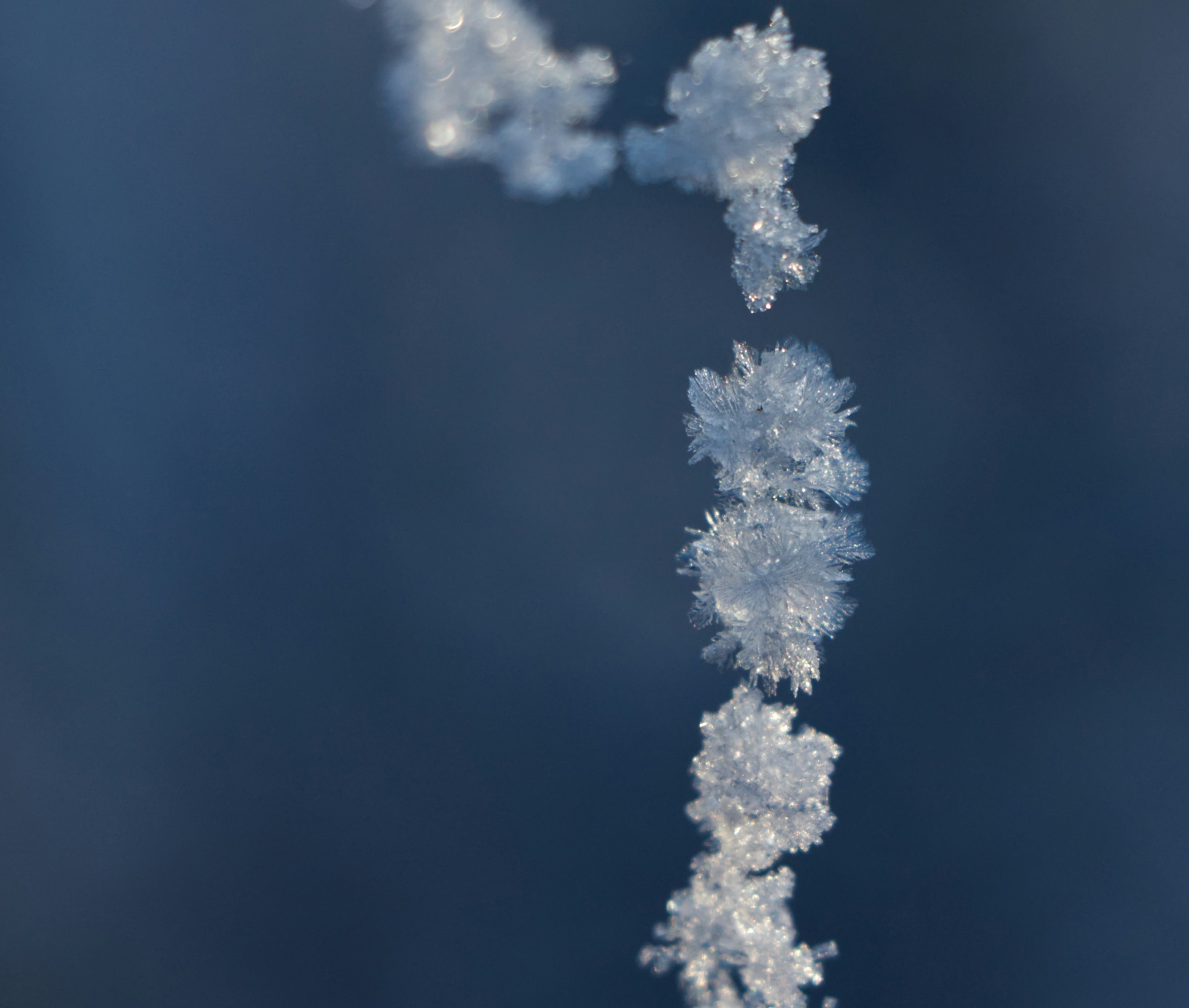 Frost-Column: Delicate Ice Crystals Rising on a Cold Day