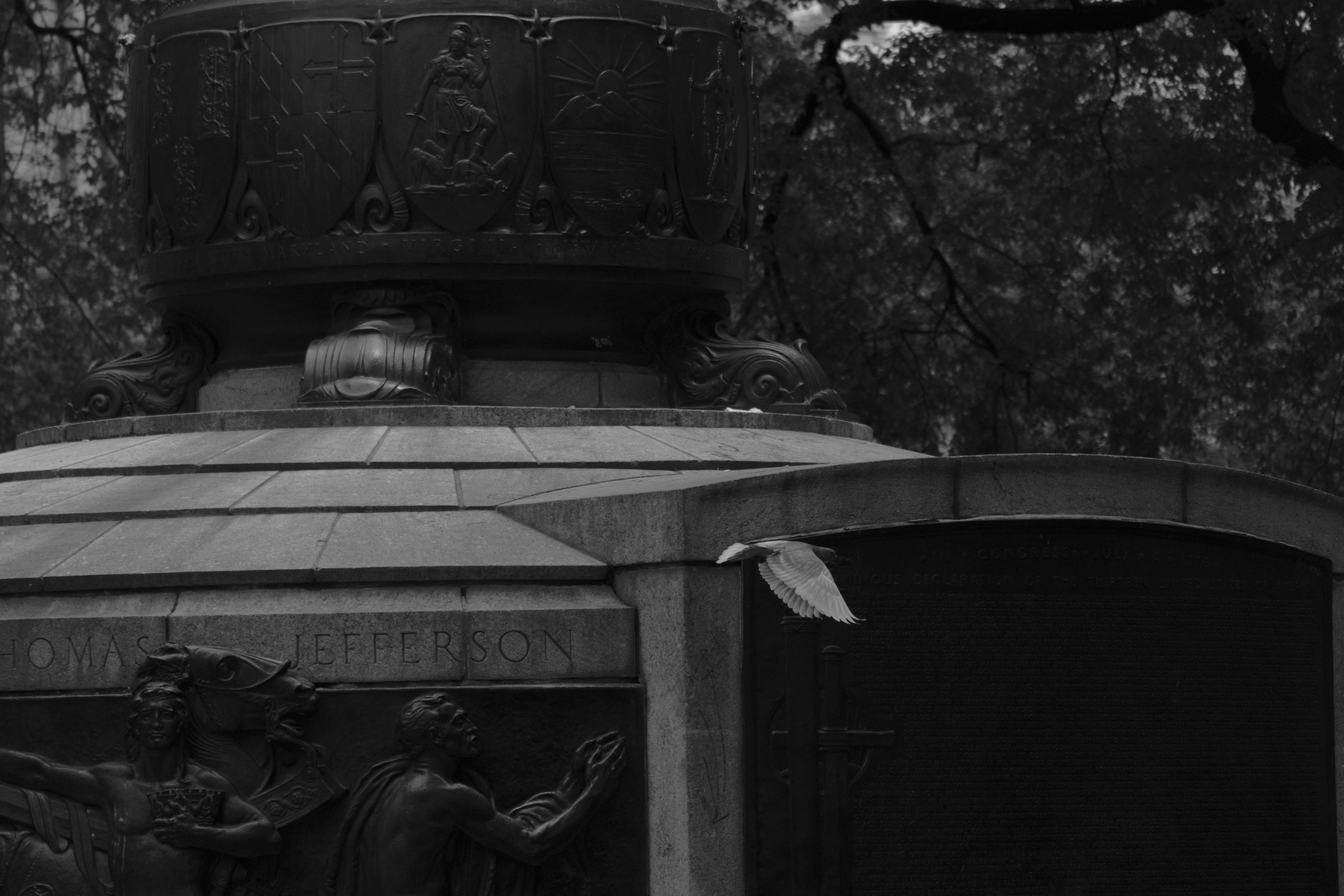 Edge Sentinel: A Pigeon Pauses on a Monolithic Memorial
