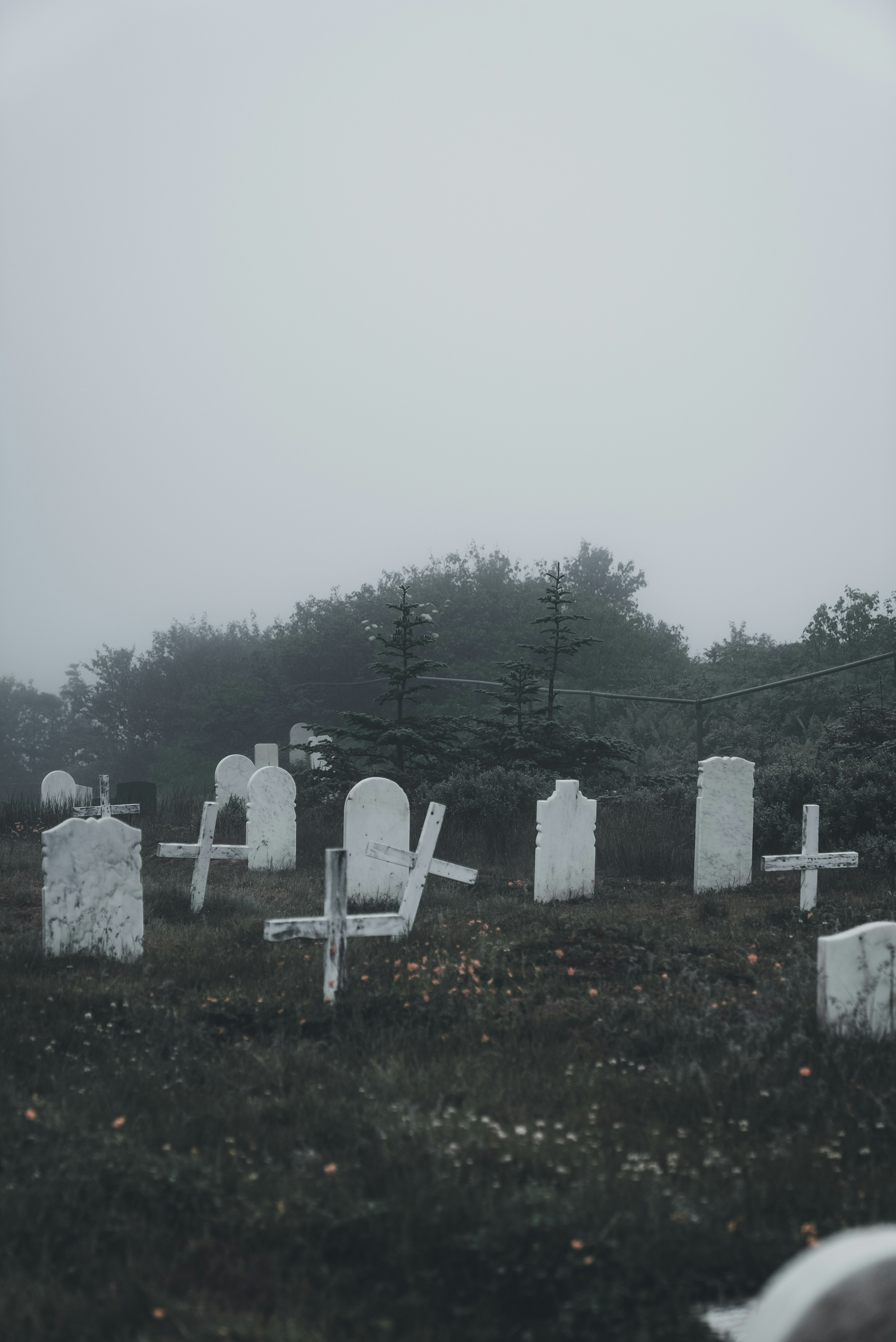 Empty Grave Pictures | Download Free Images on Unsplash