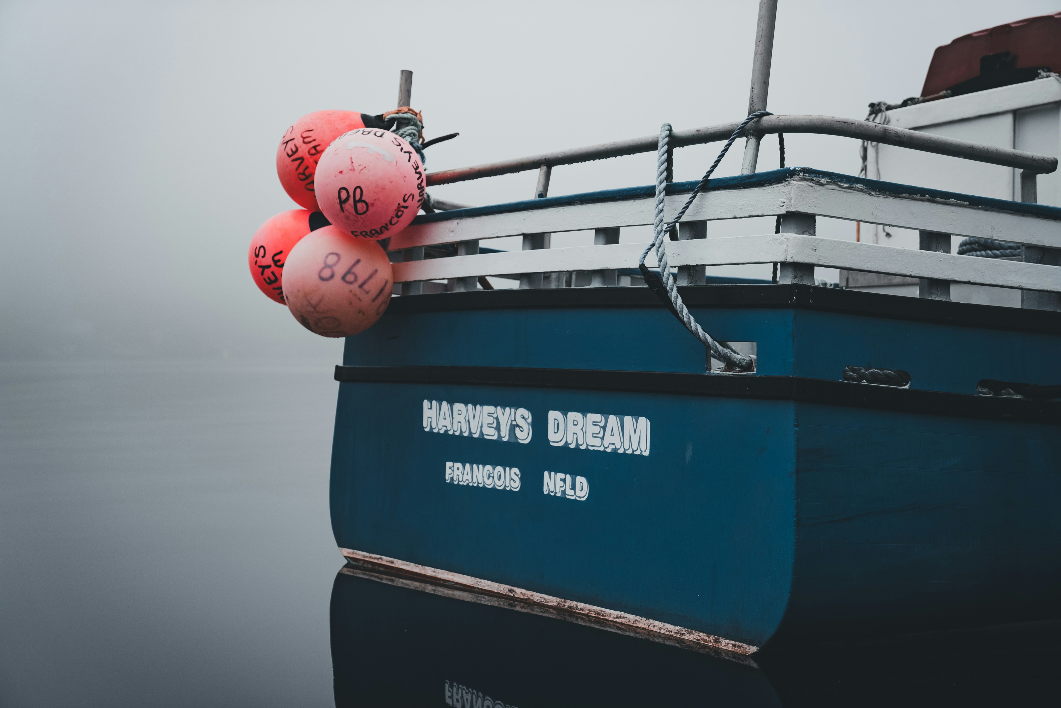 A blue and white boat in the water photo – Free Grey Image on Unsplash
