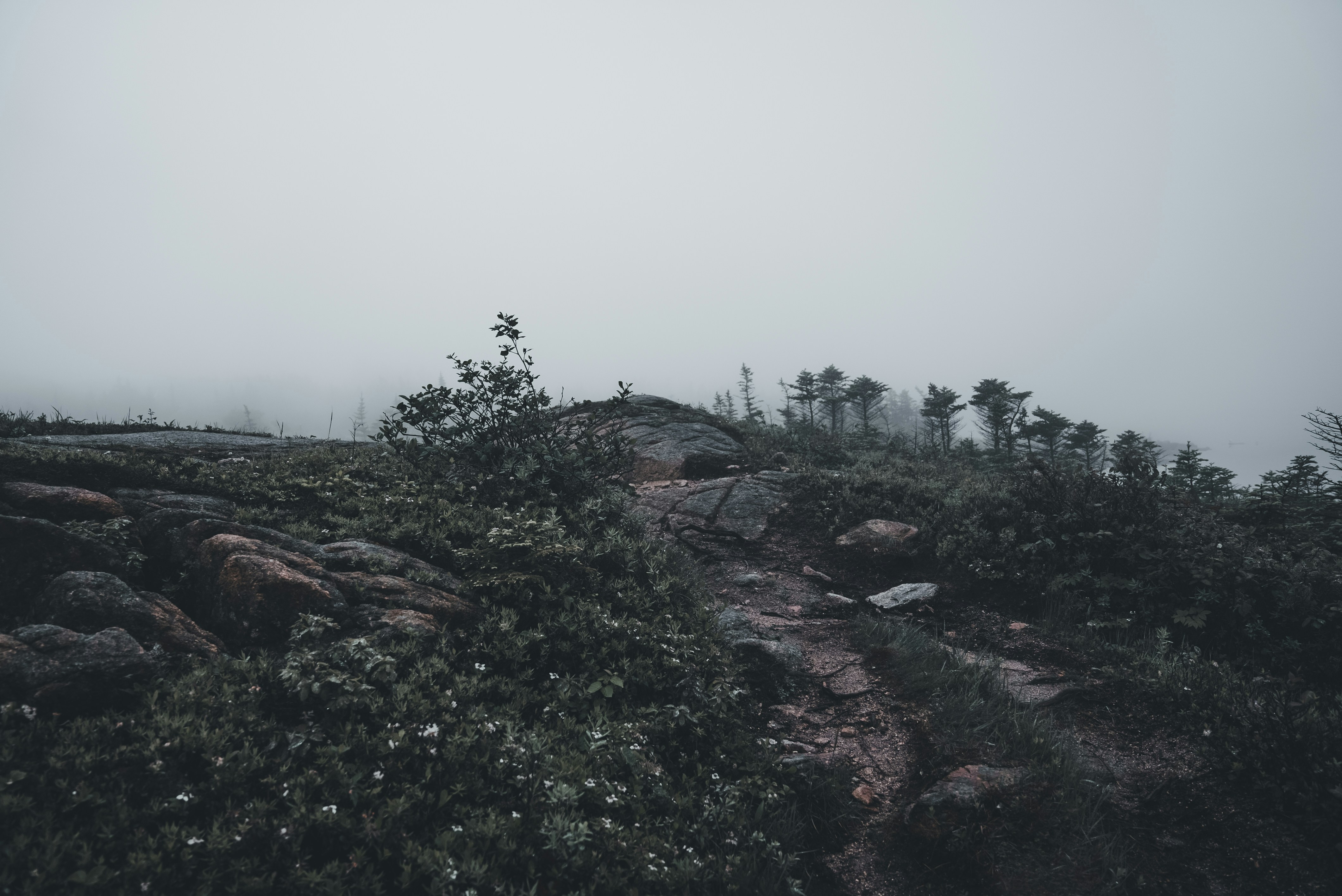 Foto Una montaña brumosa con rocas y árboles – Imagen gratis en Unsplash