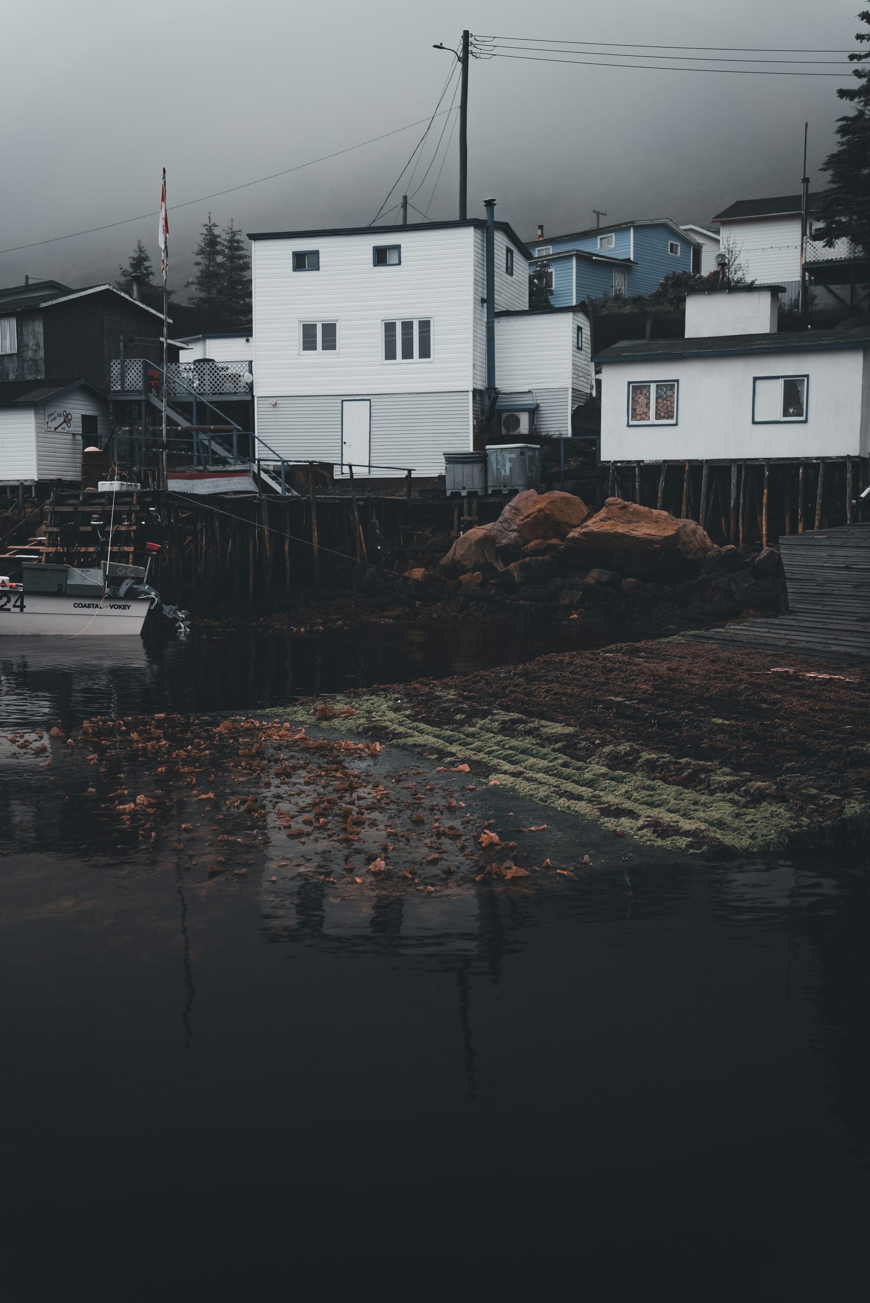 Photo by Erik Mclean with Sony Alpha 7S III