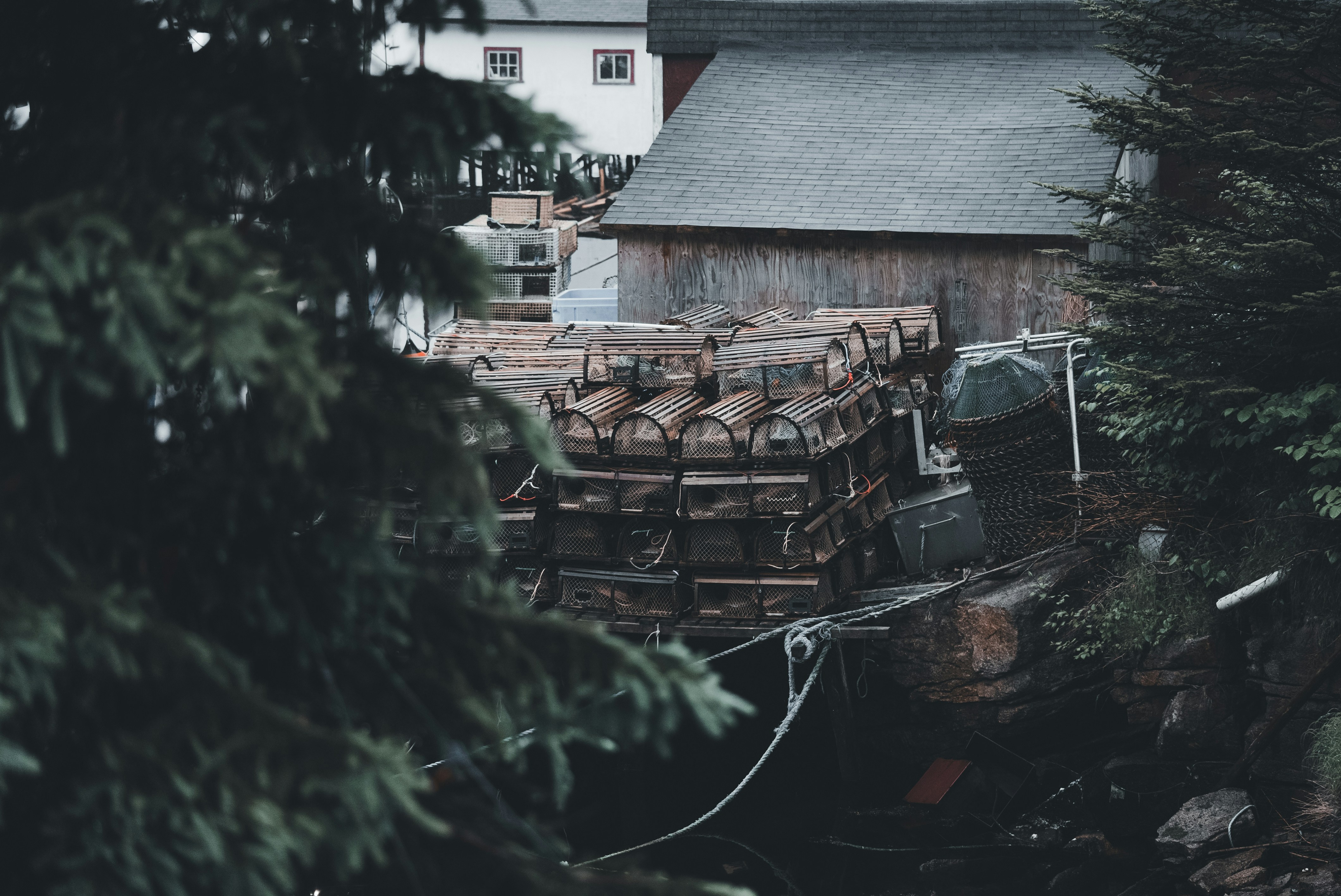 Cargo in the Quiet Canal: A Rustic Workyard Framed by Conifers