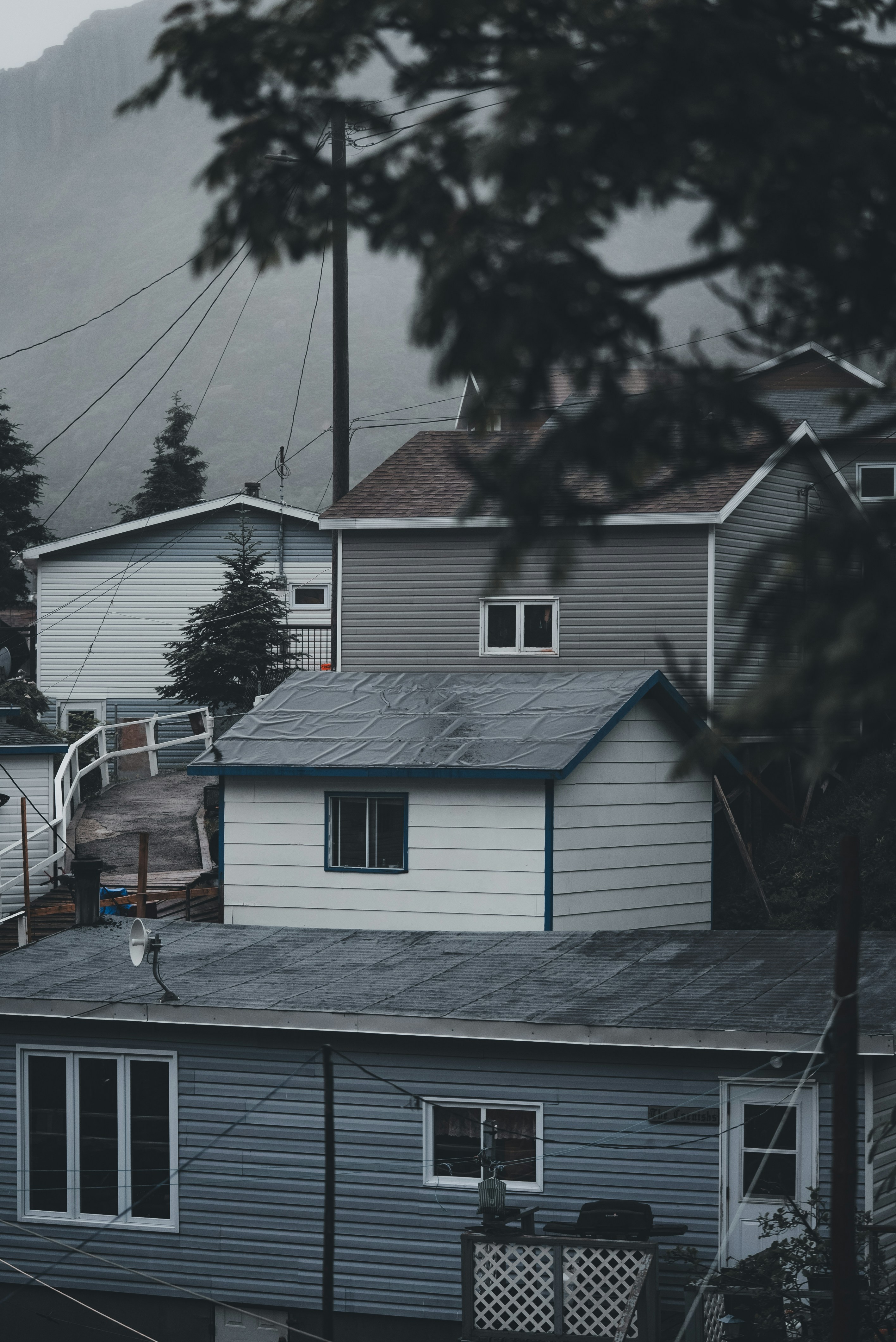 Layers of Quiet: Fog-softened Rooftops in a Hillside Suburb