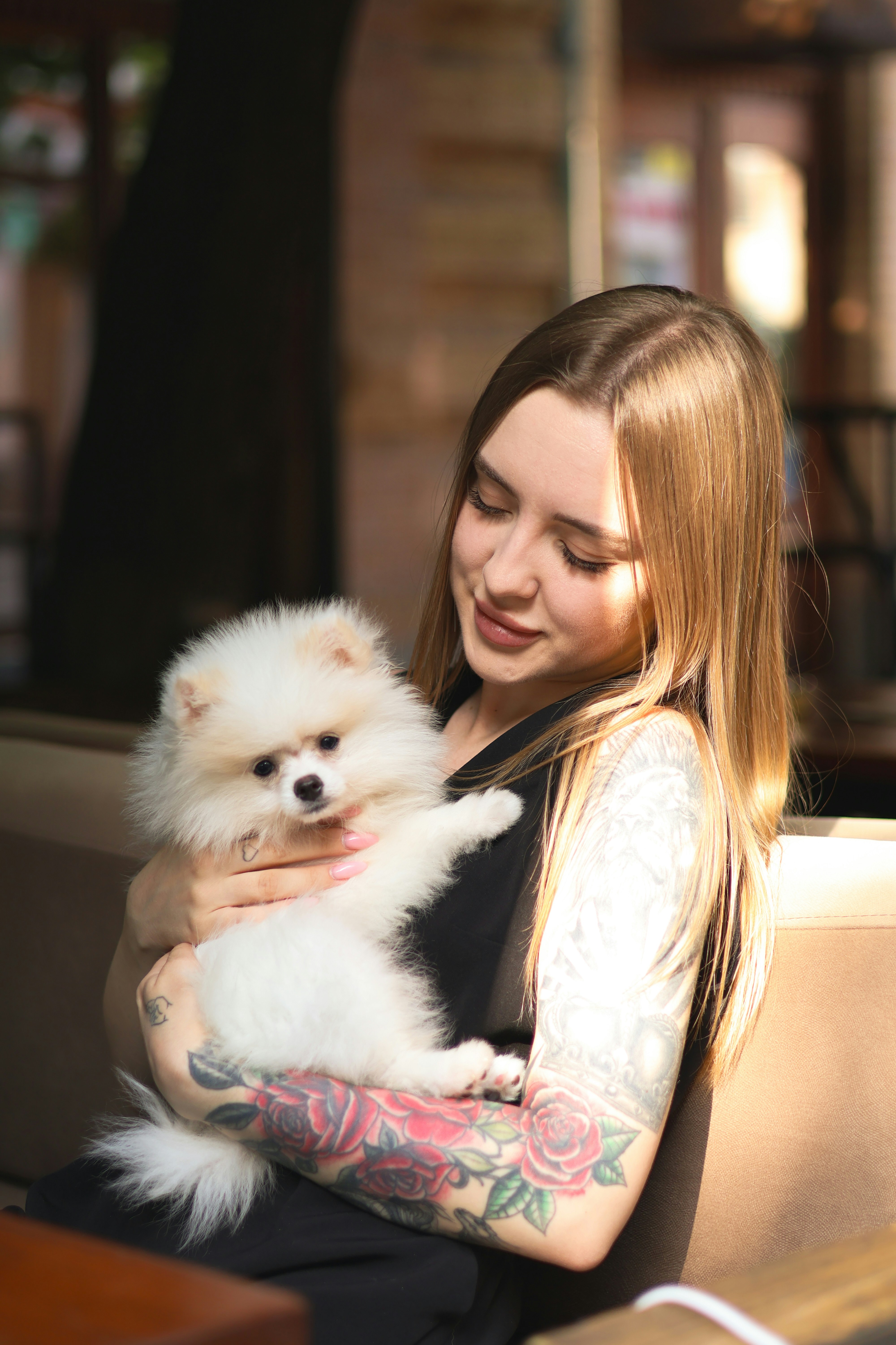 Sunlit Moment: A Tender Portrait of a Girl and Her Pomeranian
