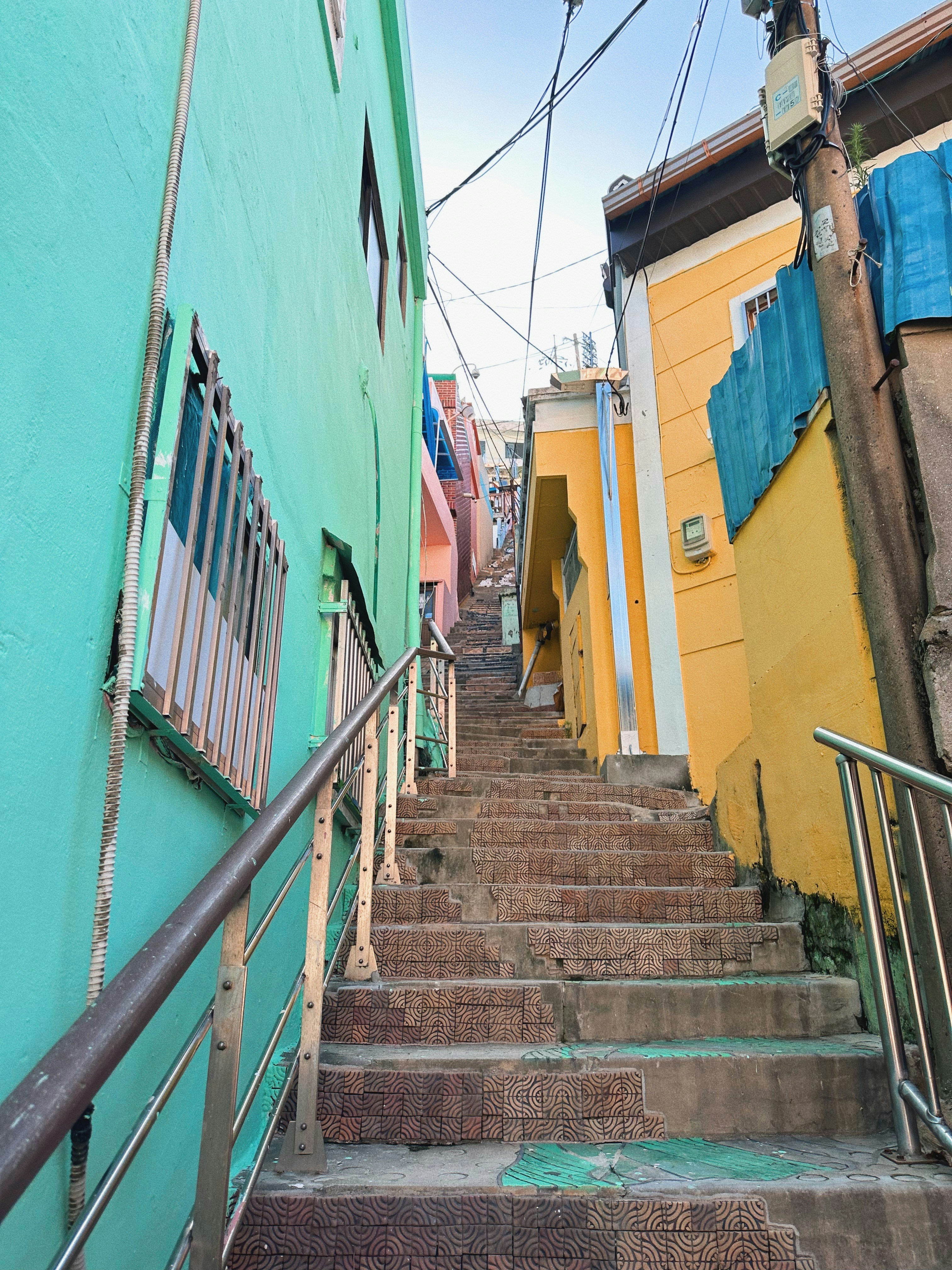 Photo by Frank Zhang with Apple iPhone 14 Pro Max