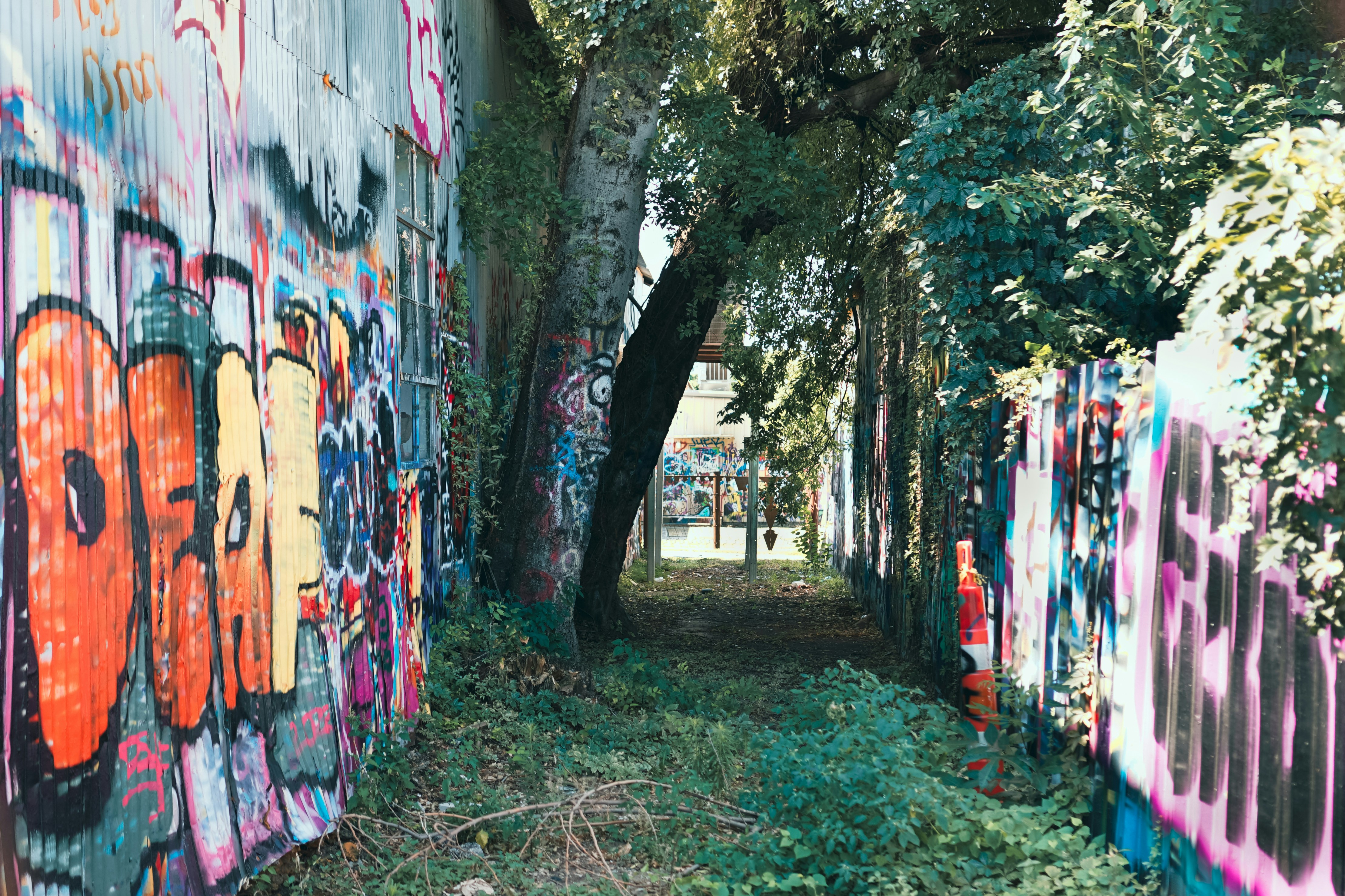 Vibrant graffiti adorns the walls of a narrow passageway, flanked by lush greenery and a prominent tree arching overhead. The scene invites exploration.
