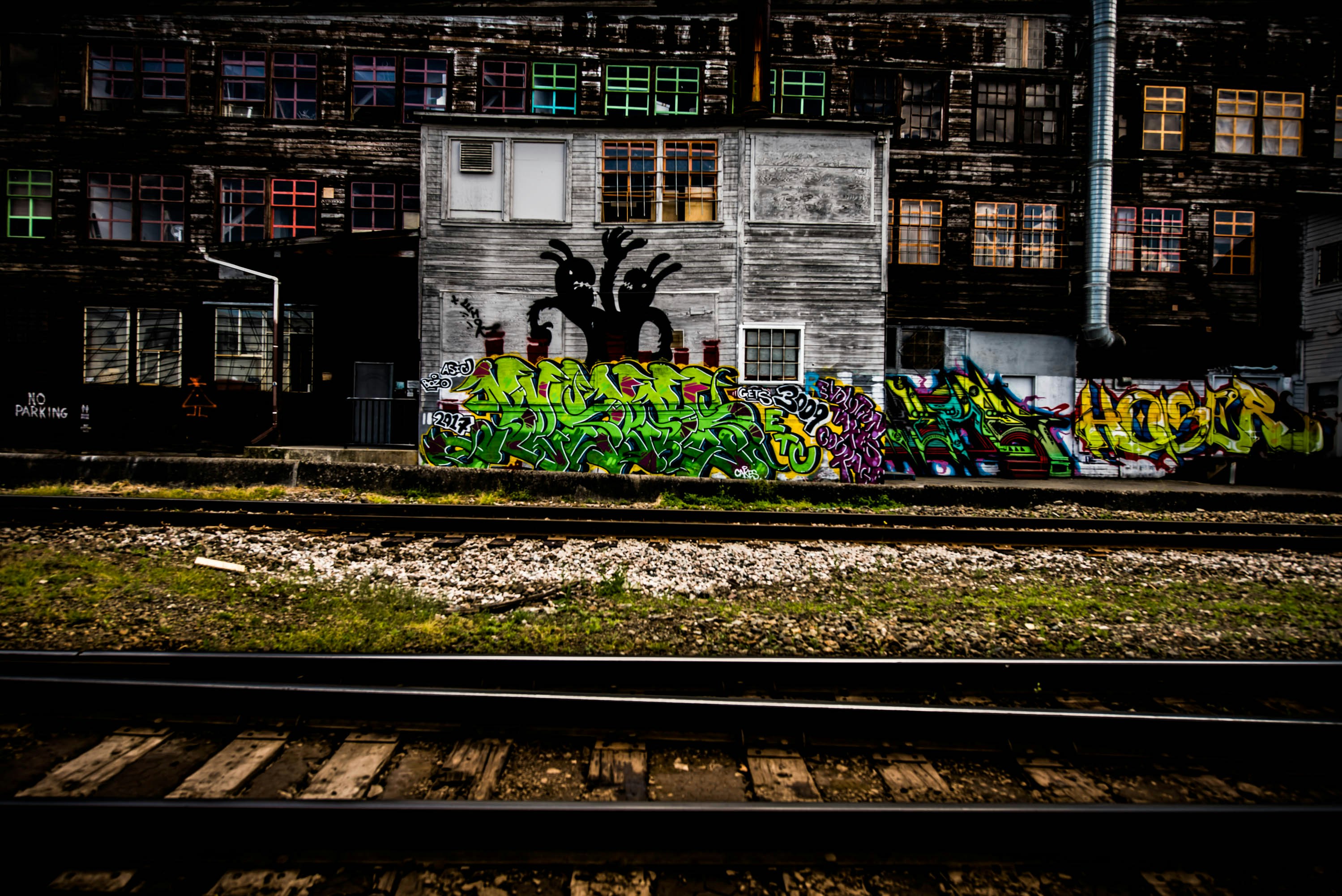 Concrete Canvas: Graffiti Glyphs Framing a Rail Yard