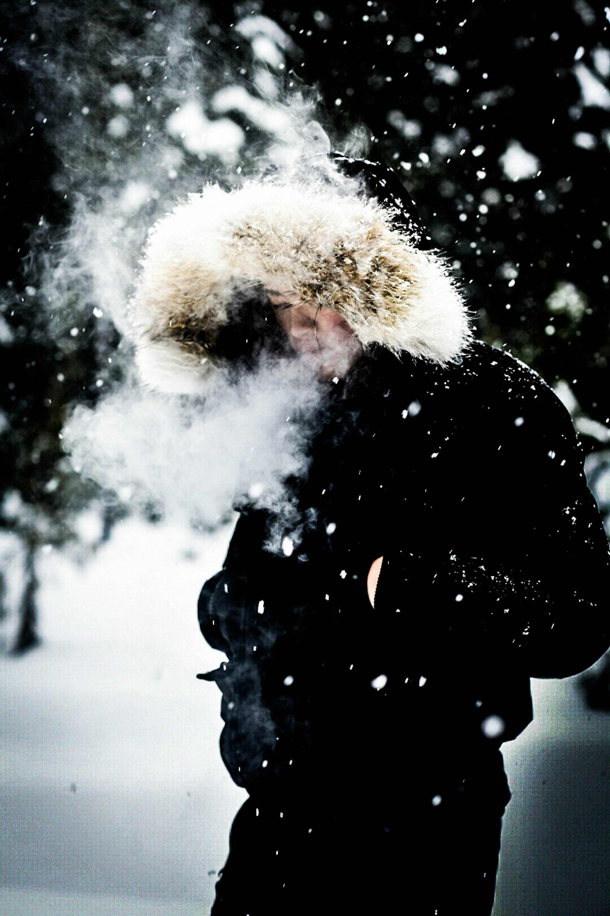 A person standing in the snow smoking a cigarette photo – Free Coat ...