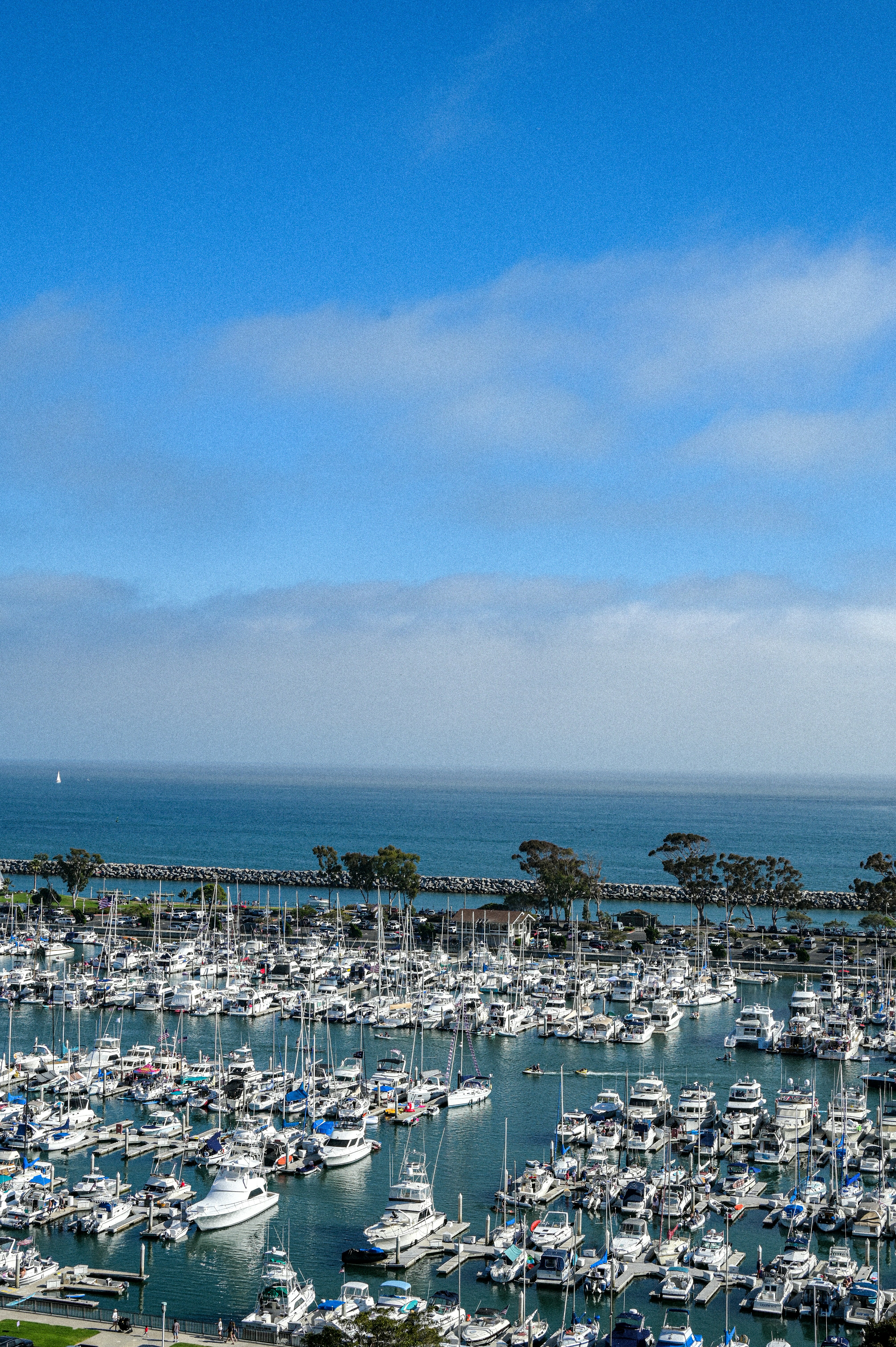 A harbor filled with lots of boats under a blue sky photo – Free Dana point harbor Image on Unsplash