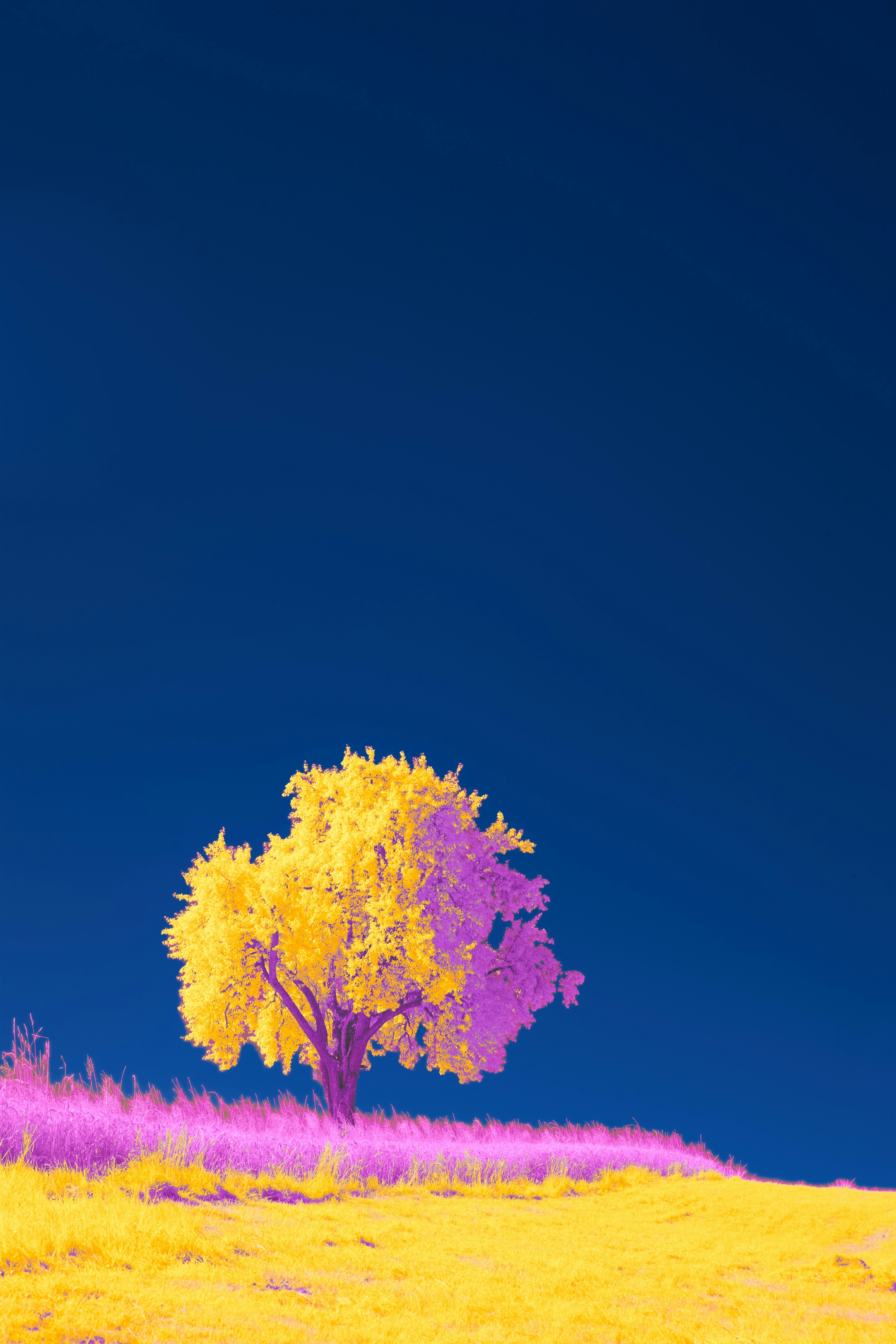 2d Background Pictures | Download Free Images on Unsplash