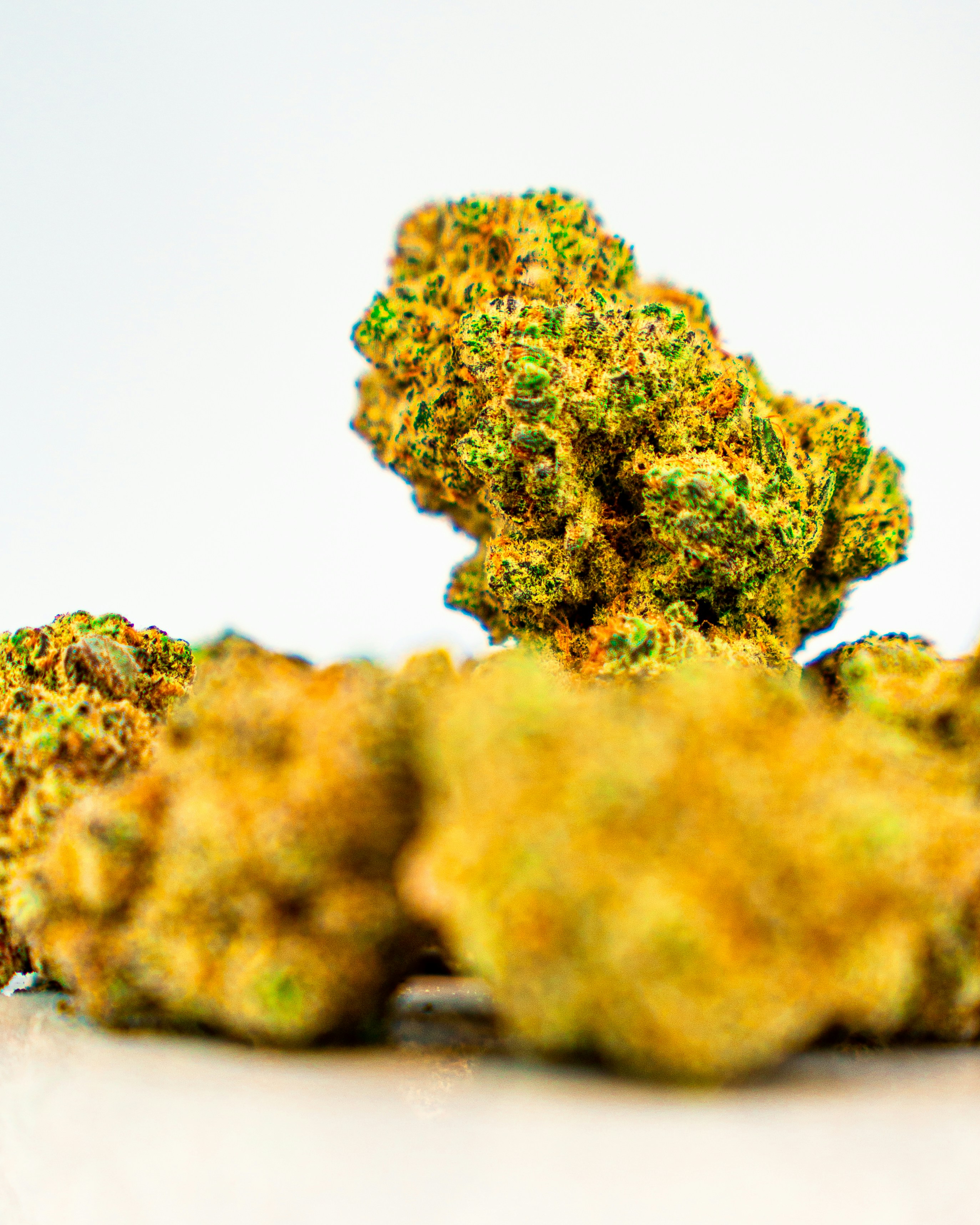 Macro World: Cannabis Buds in Focus