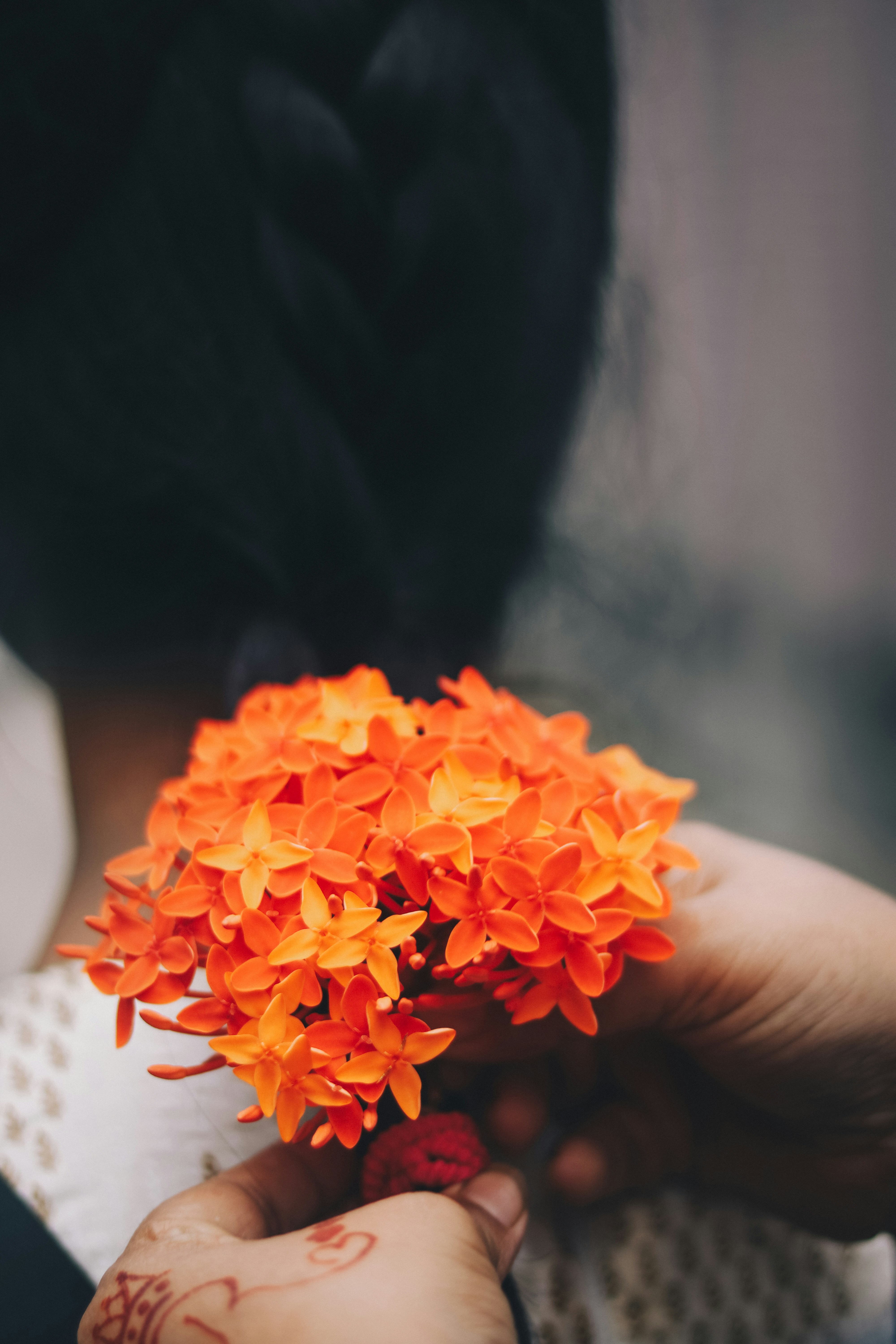 Bloomed Embrace: Orange Blossoms Resting Behind a Silhouette