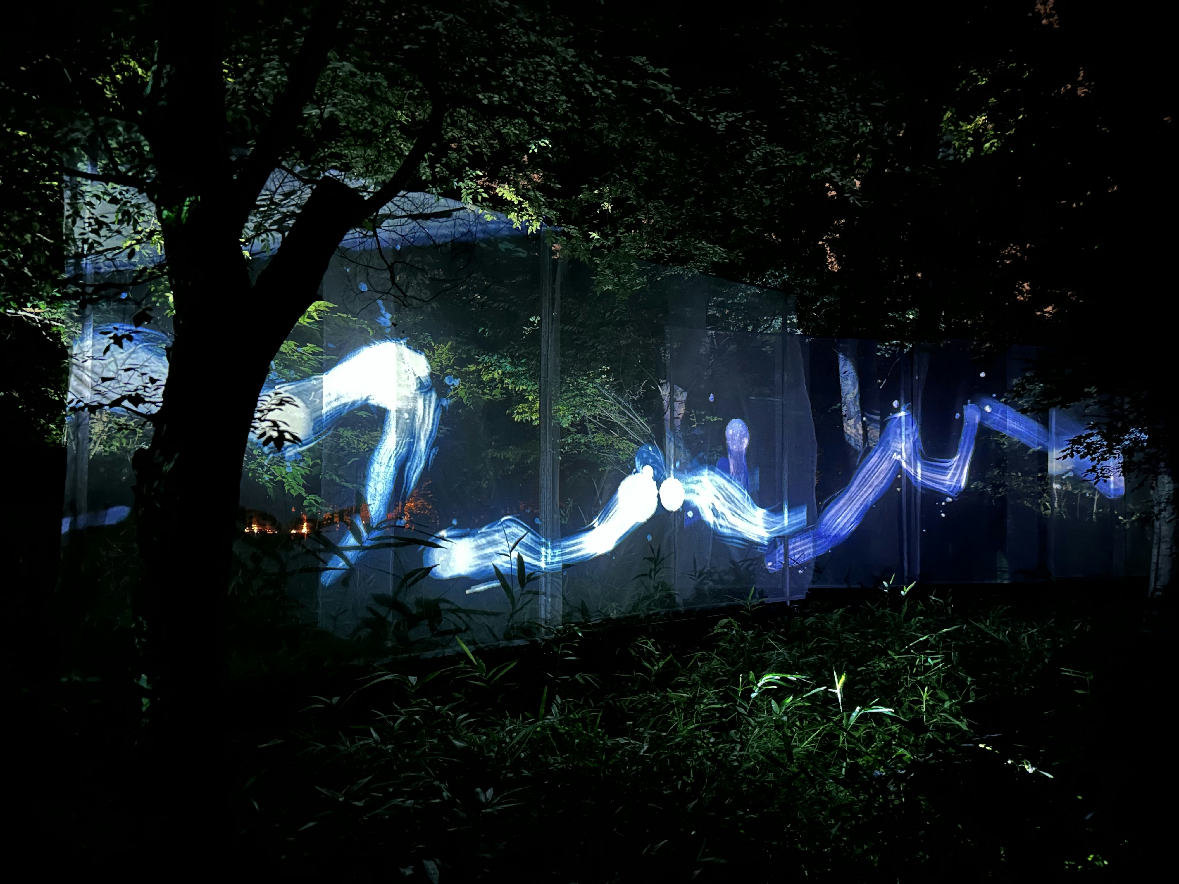 Nature-Centered Installation Lighting: Bioluminescence-Inspired Concepts