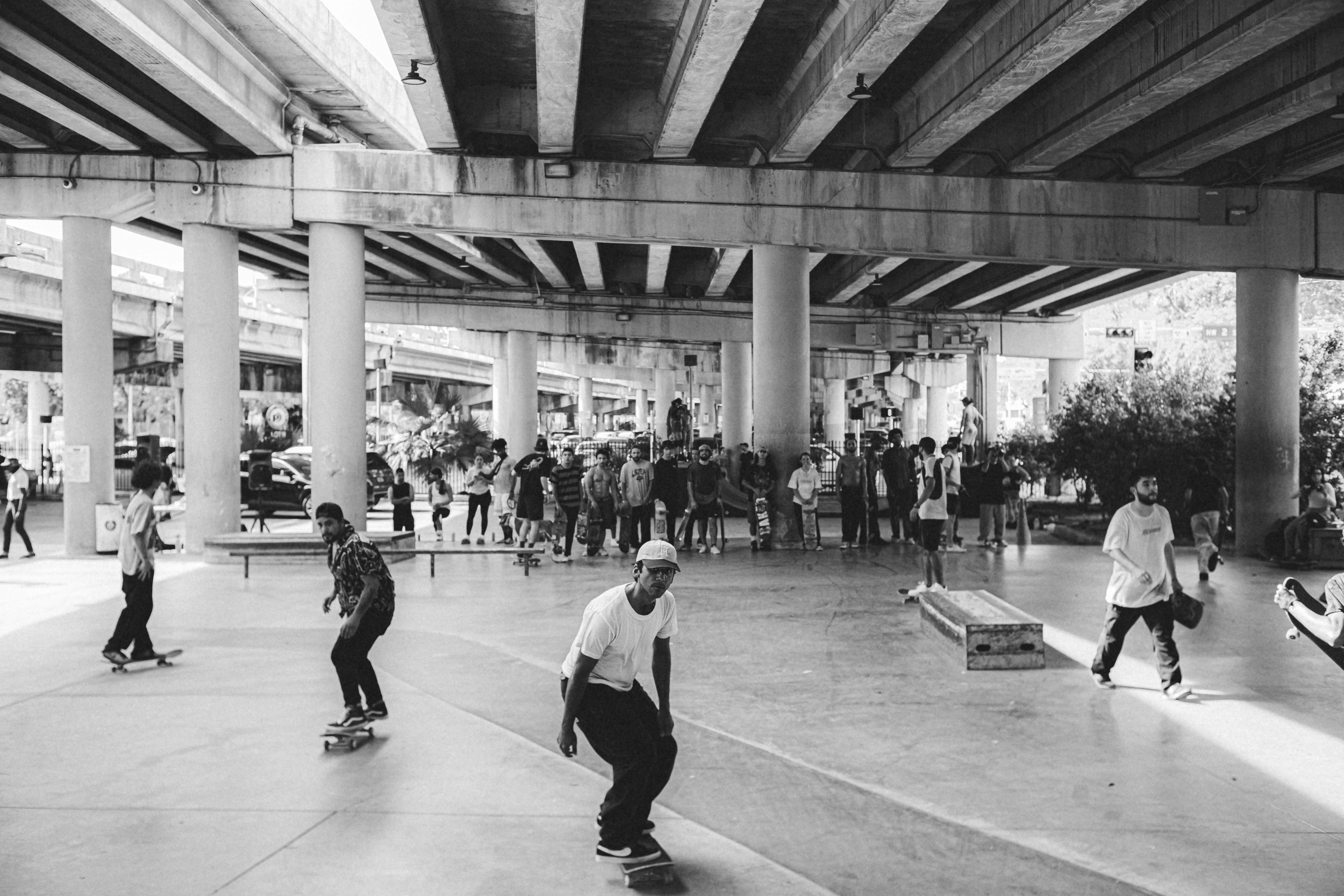 A group of people riding skateboards under a bridge photo – Free Image ...