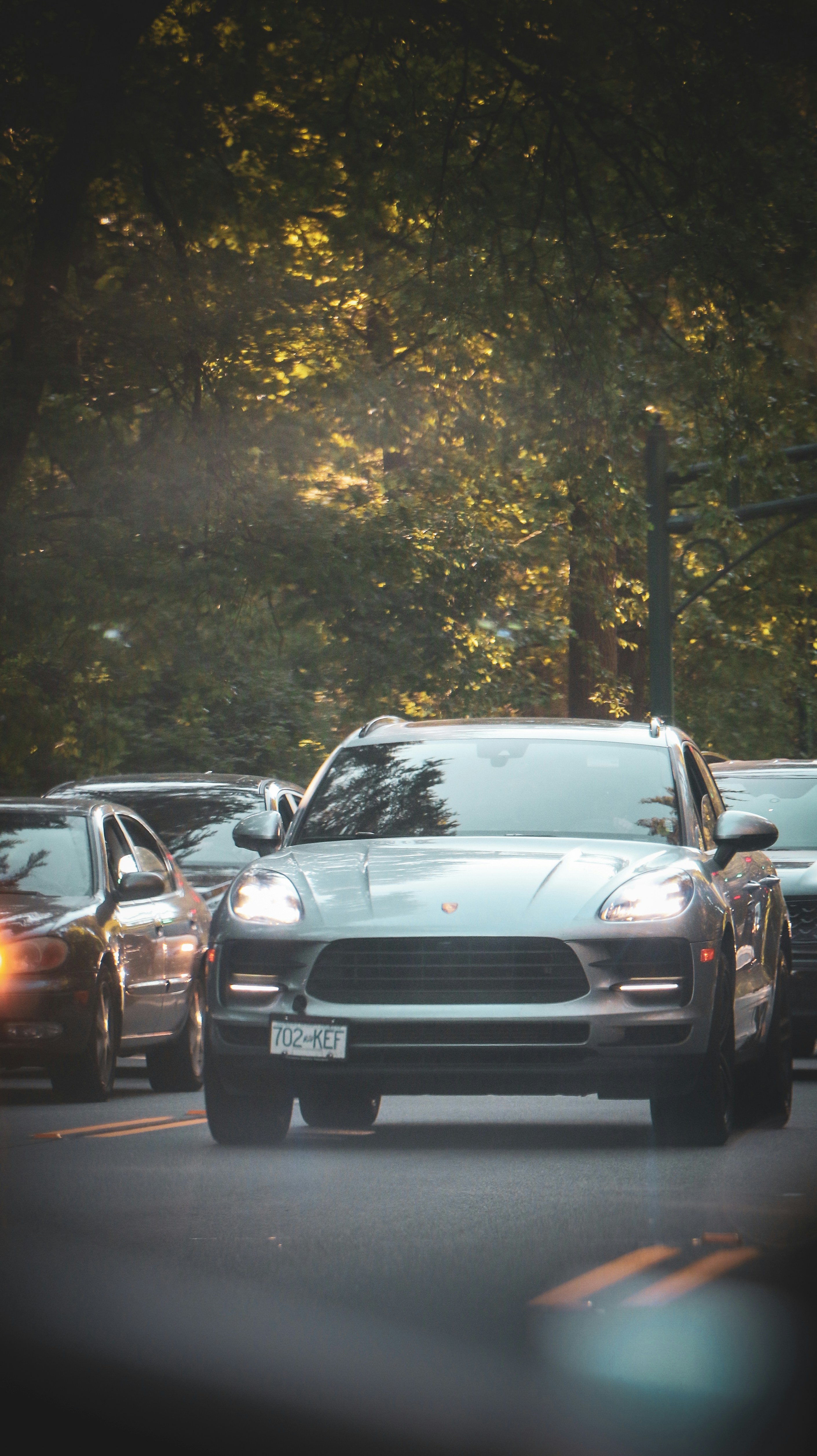 Silver Porsche Leads a Quiet, Tree-Shaded Street at Dusk