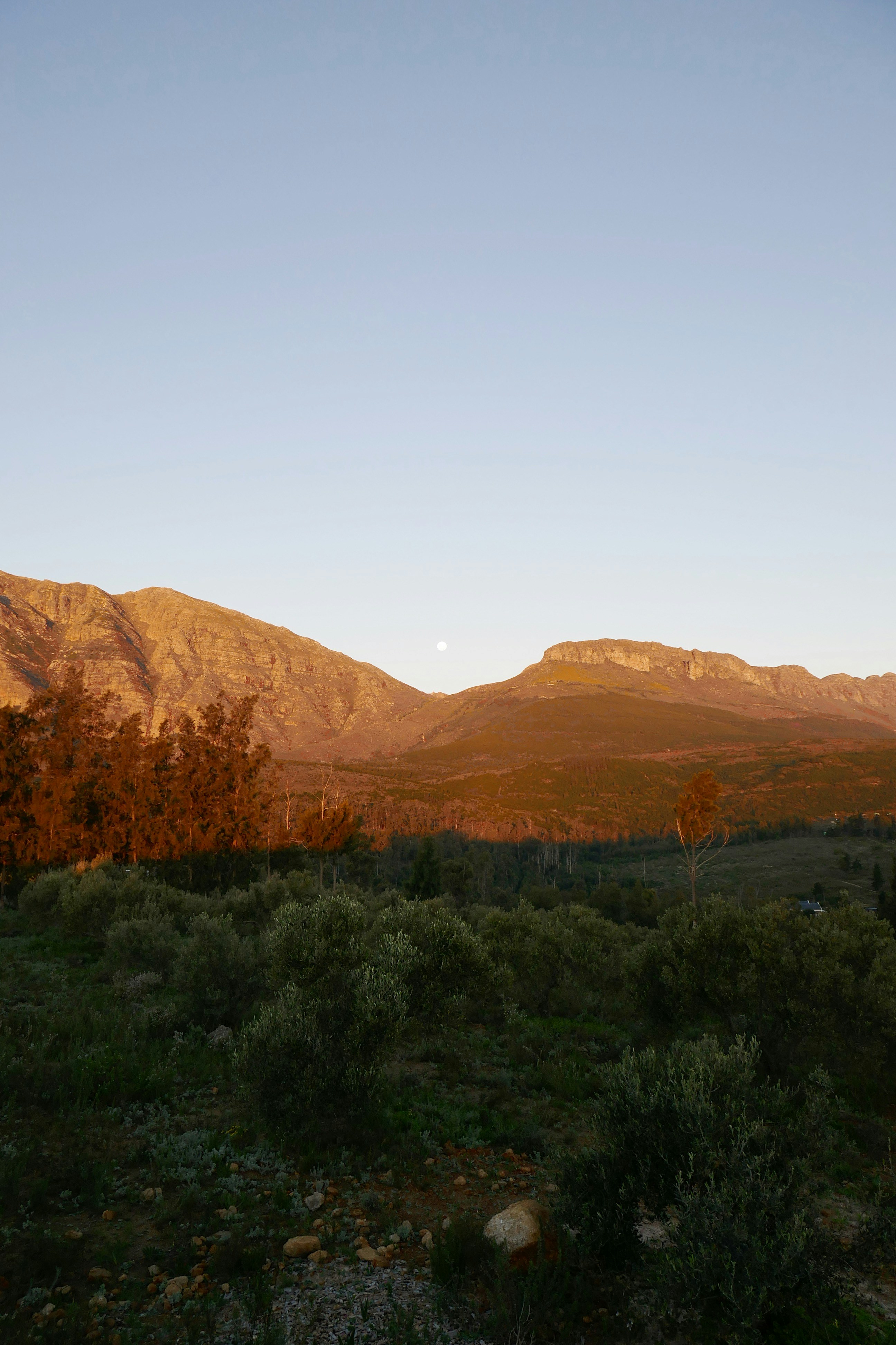 A serene landscape featuring rolling mountains bathed in golden light, with a rising moon peeking above the horizon.