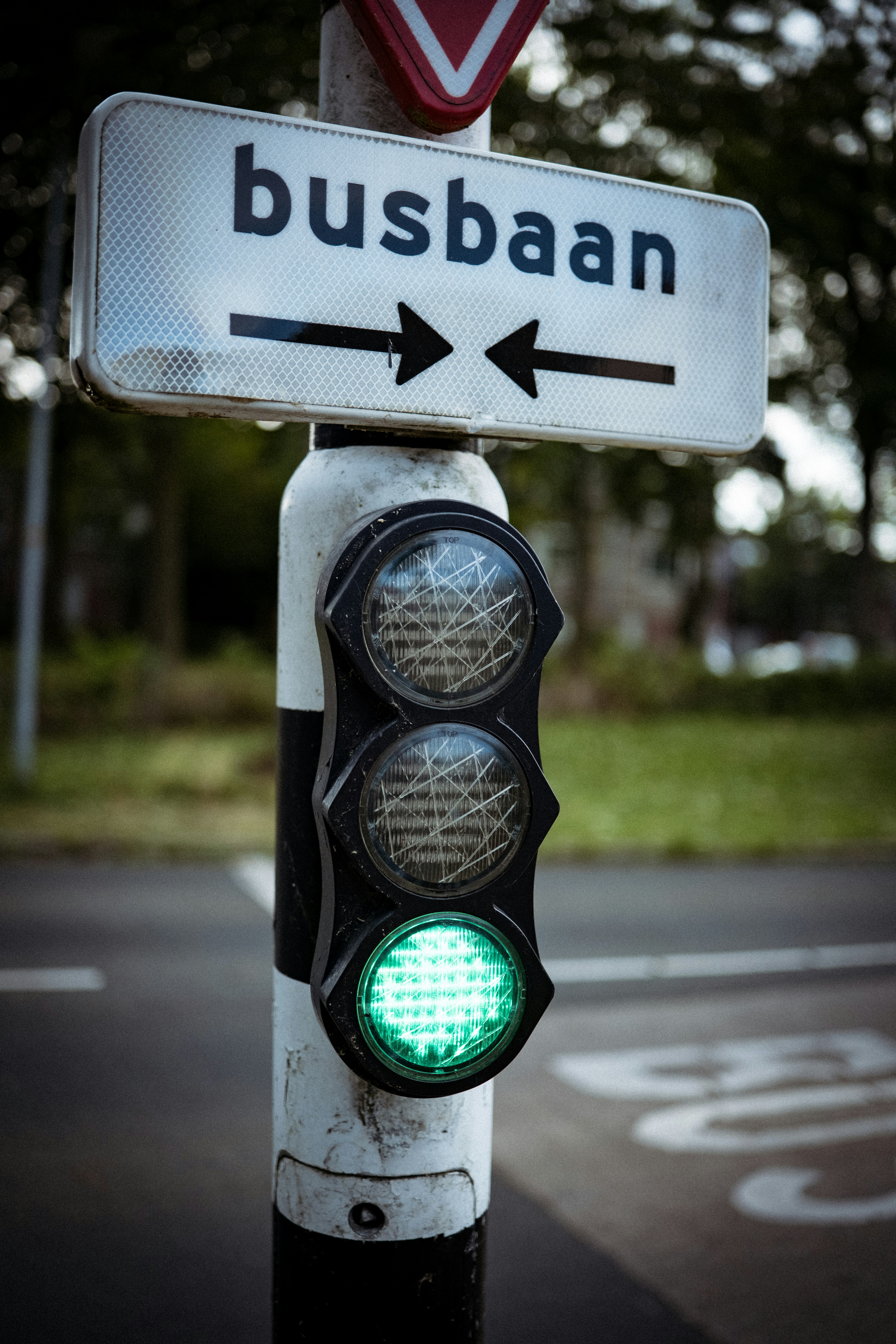 Green Signal Under the Dutch Busbaan Signpost